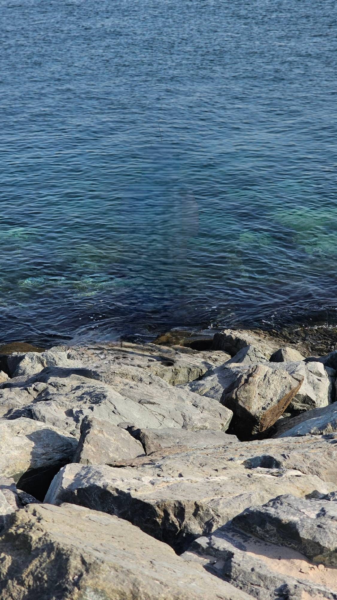 Check out this 'MAGIC' feature (Object Eraser) - Samsung Members