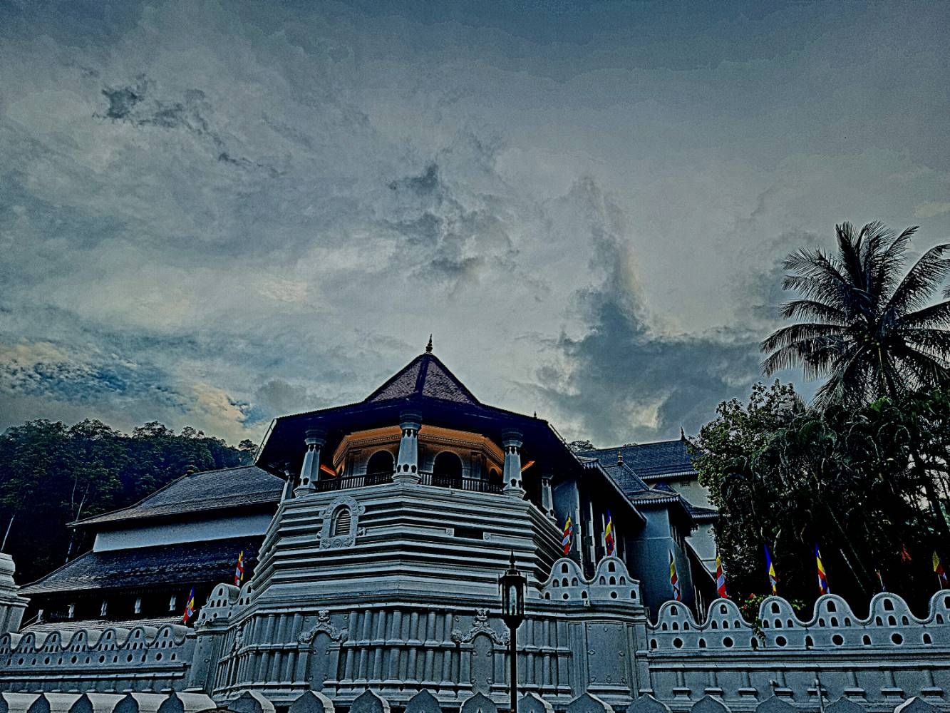 The quality of a photo 📸 captured by samsung gal... - Samsung Members