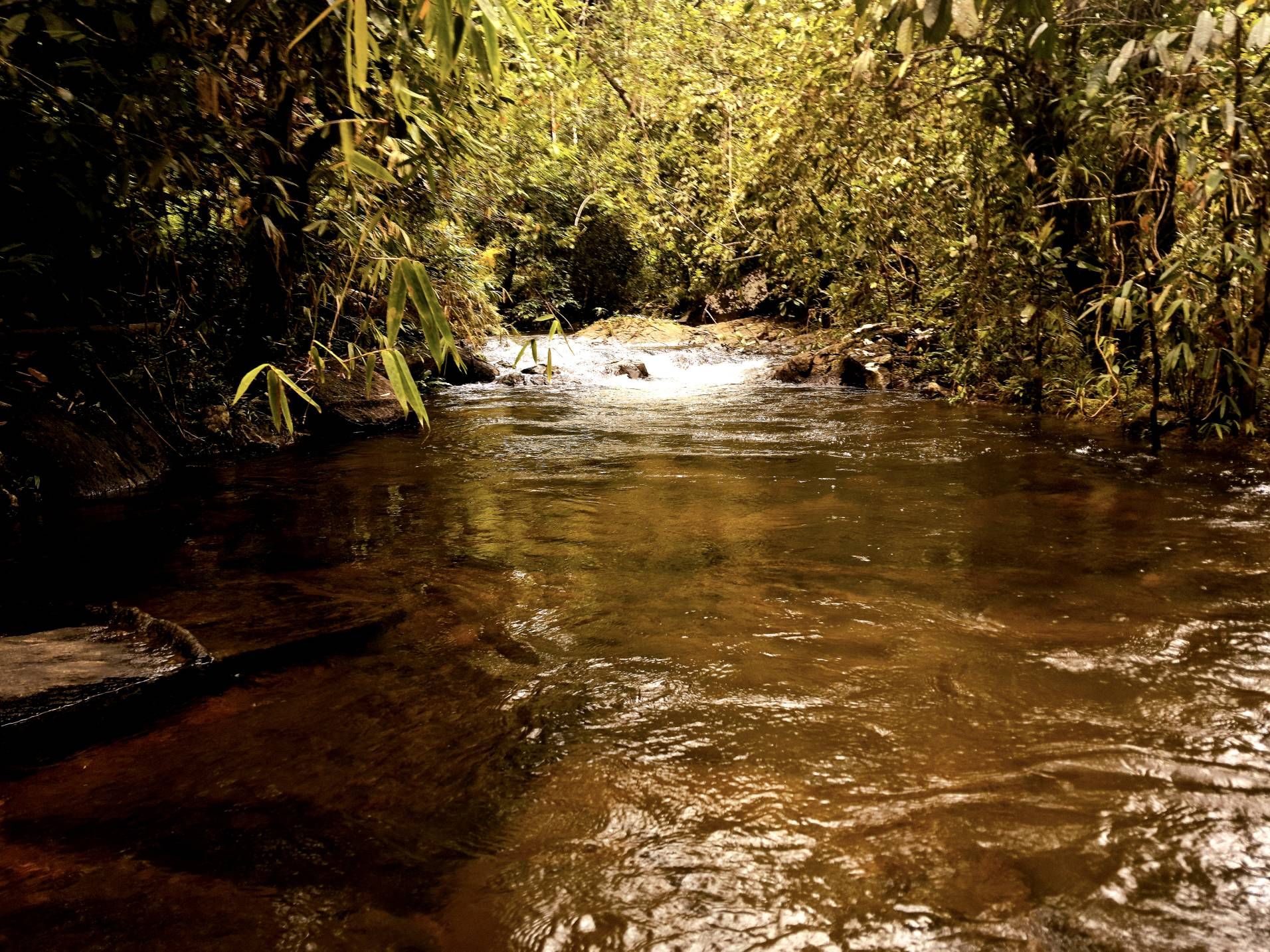 Polgampola, Mathugama - Samsung Members