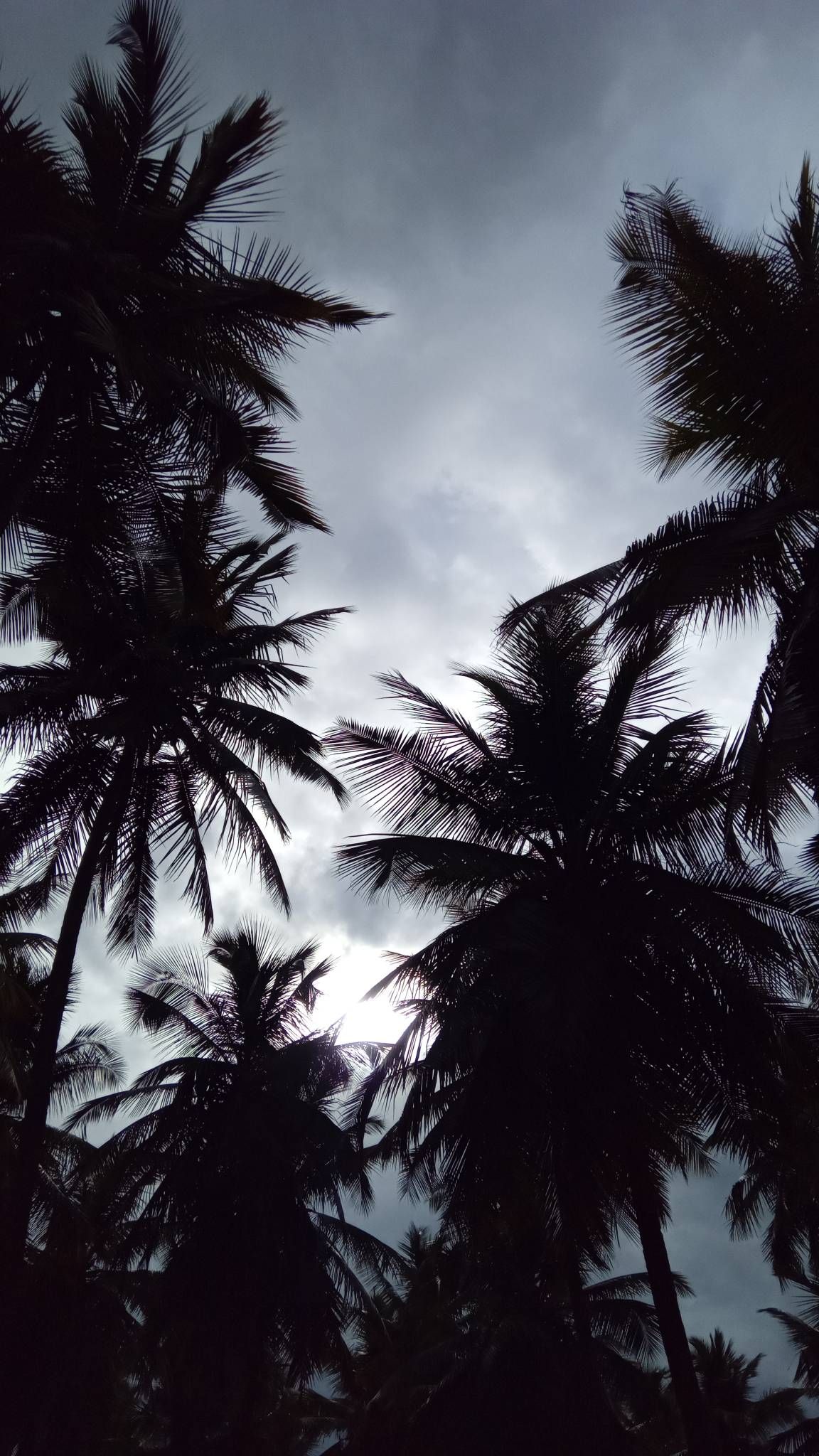 Click - Samsung Members