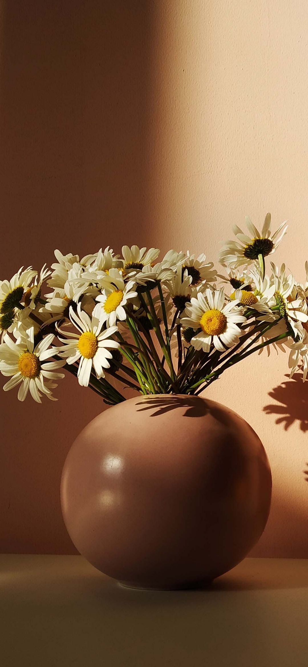 Samsung Dynamic wallpapers - Samsung Members