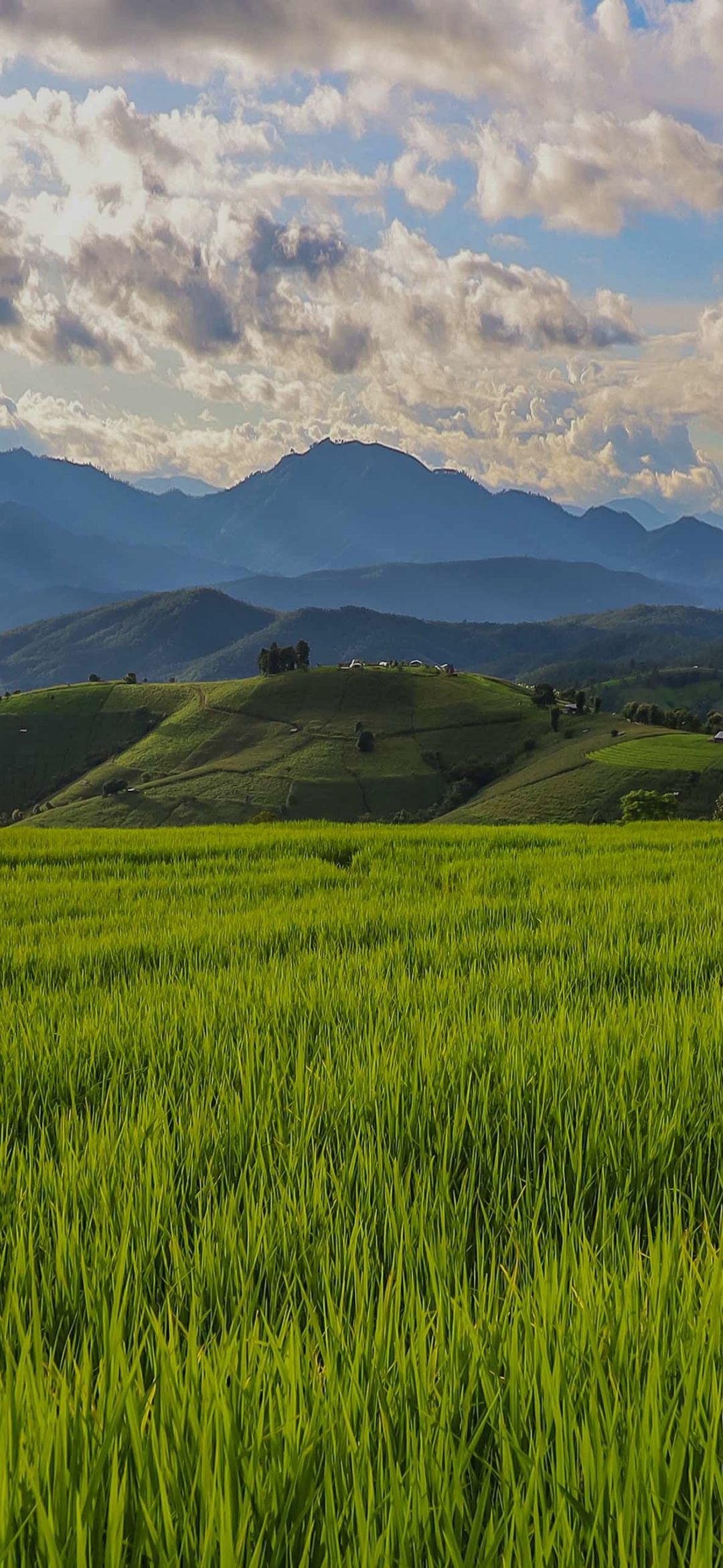 Samsung Dynamic wallpapers - Samsung Members