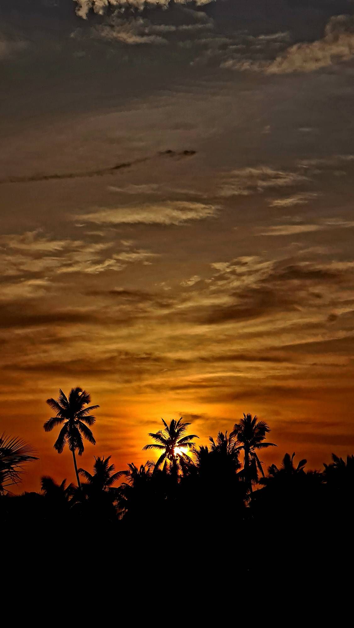 Colourful ending - Samsung Members