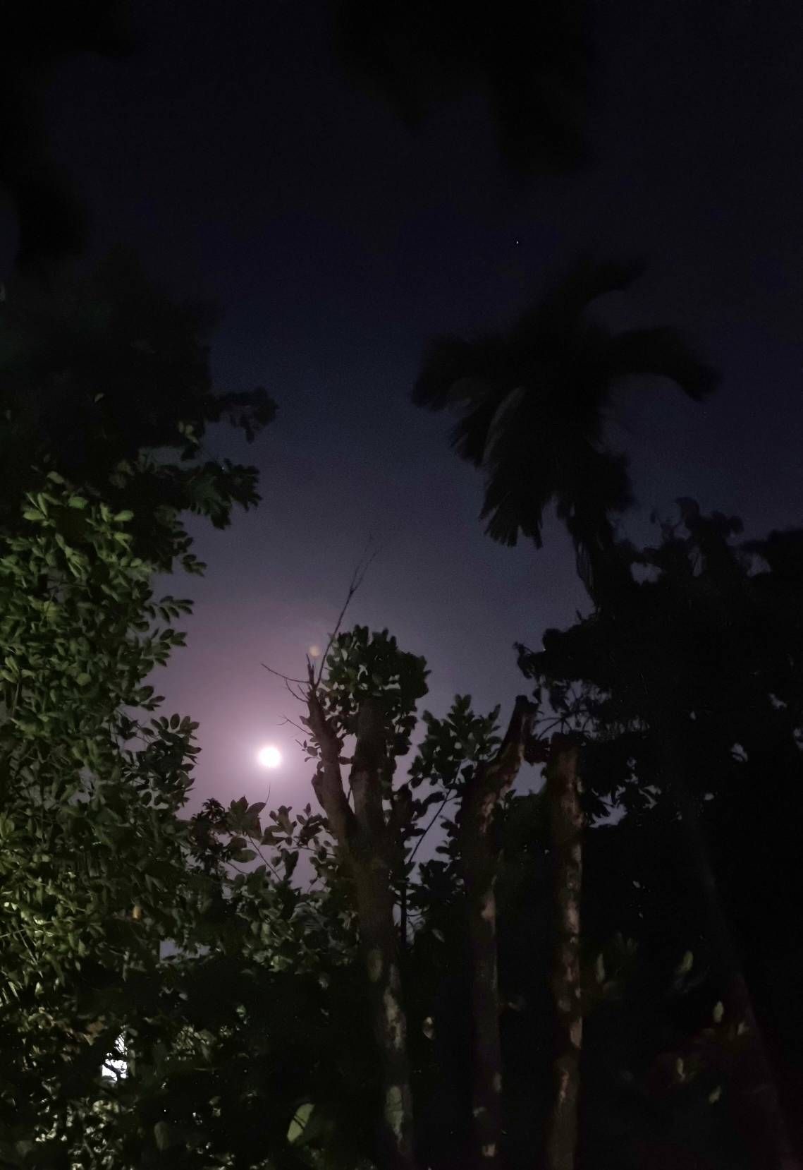 S series Camera - Samsung Members