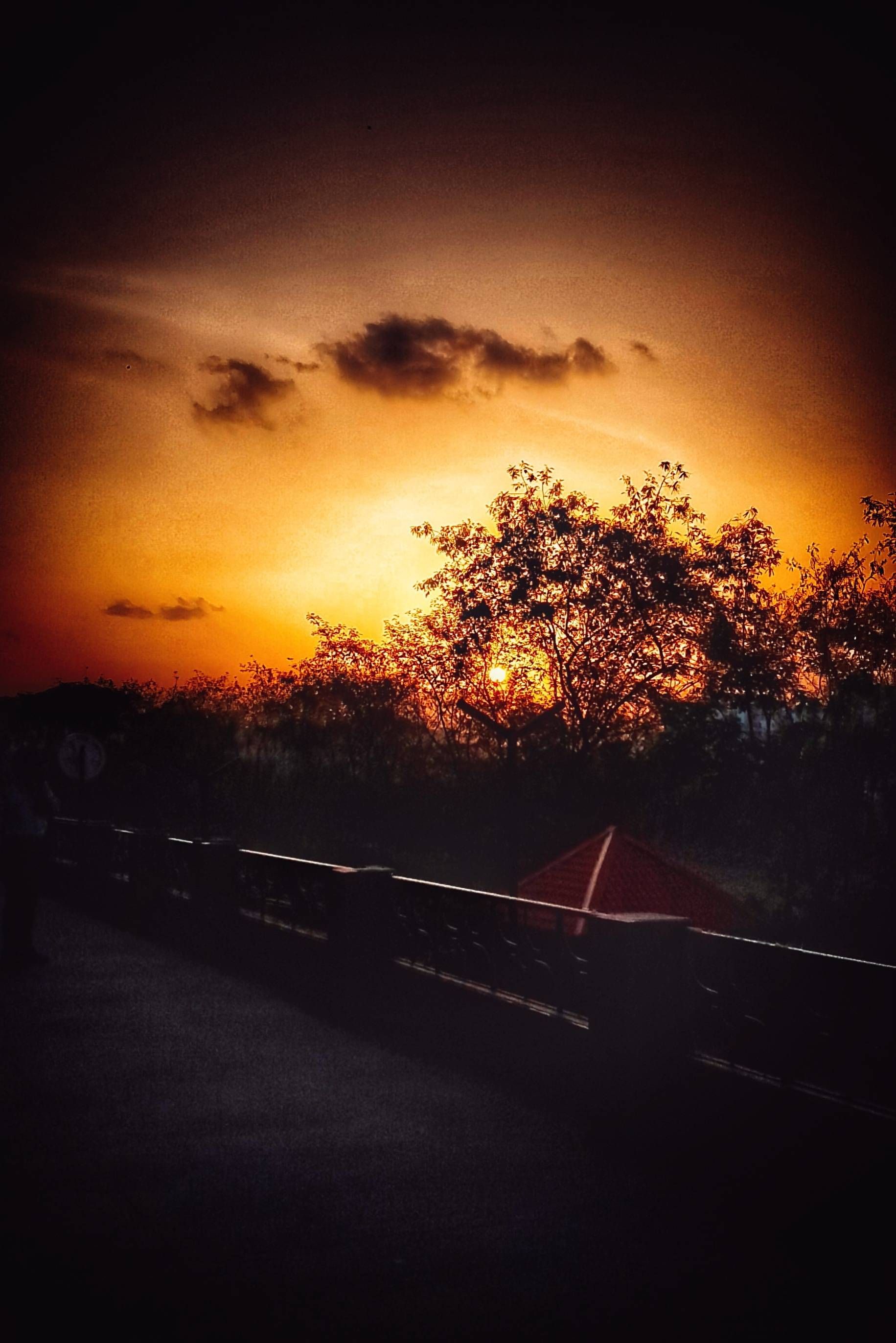 The Samsung Portrait - Samsung Members