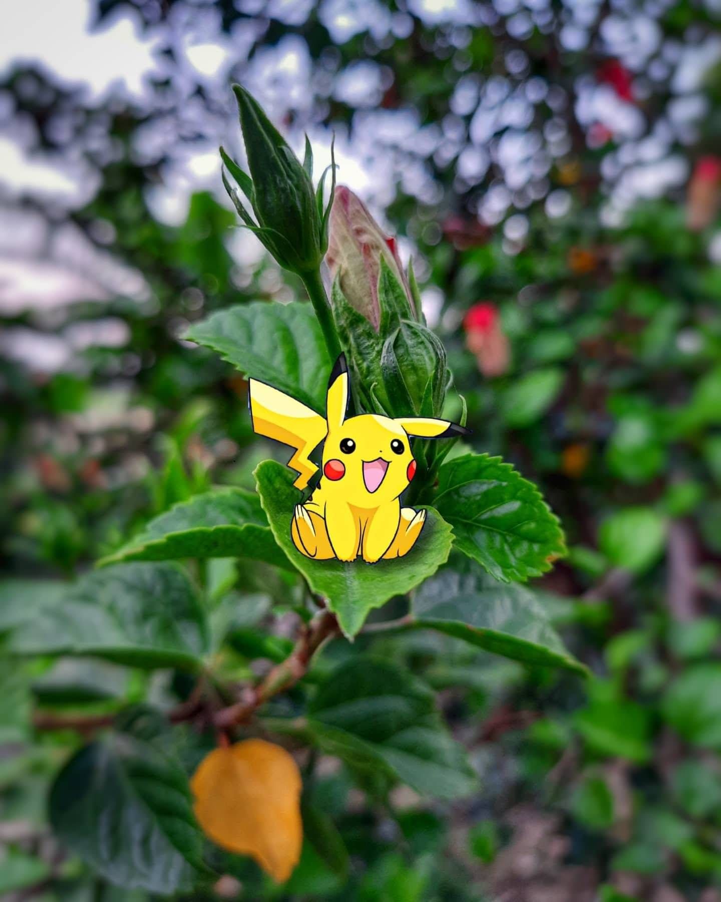 Pika...pikà - Samsung Members