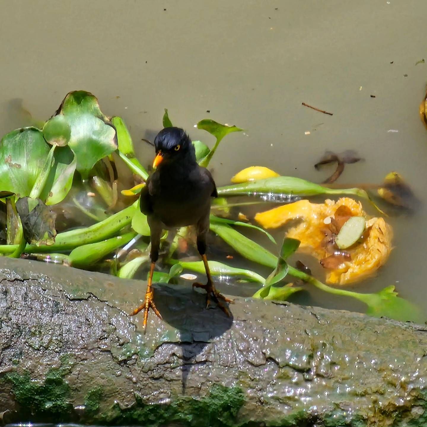 Samsung S23 Ultra with 30X zoom - Samsung Members