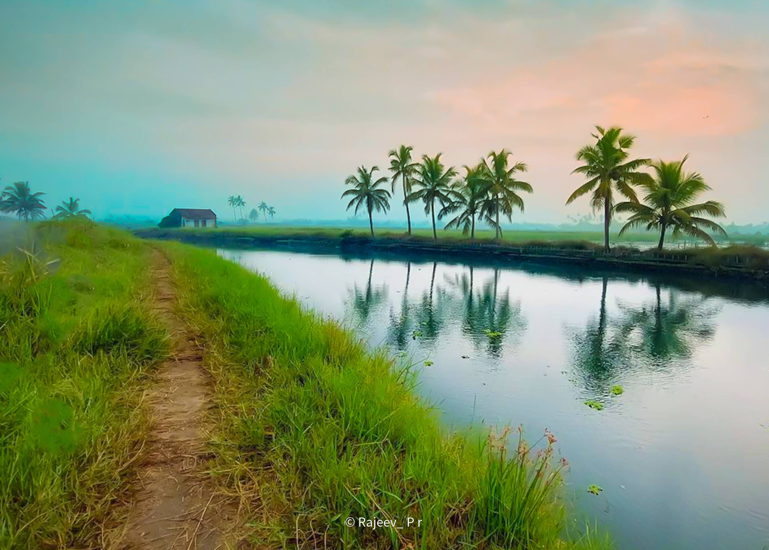 [Ideas Unleashed] Flex your creative muscle! - Samsung Members