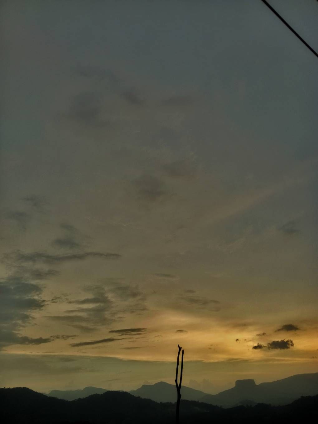 Yellow Environment Descent 🌿 - Samsung Members