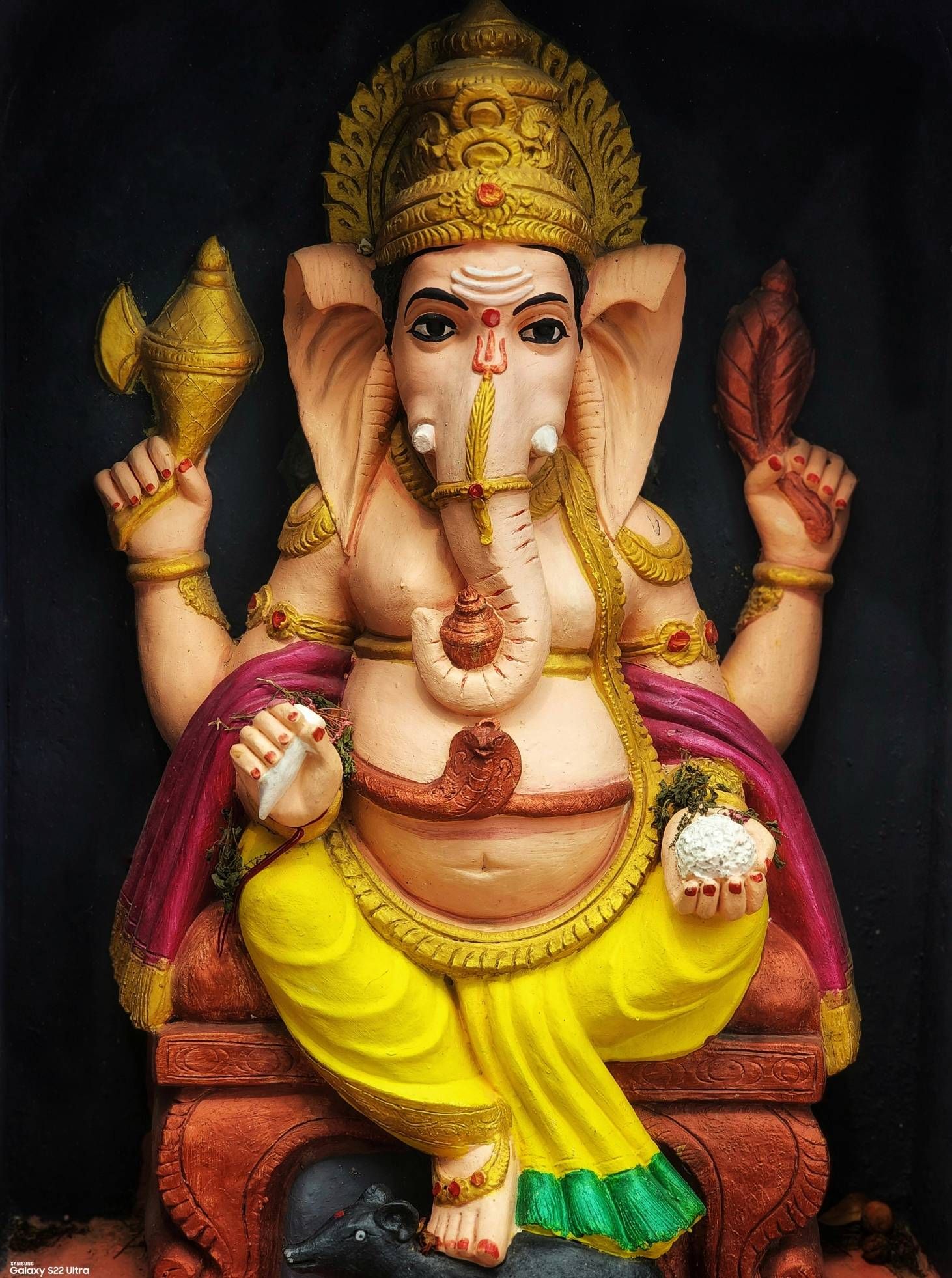 Ganesh - Samsung Members