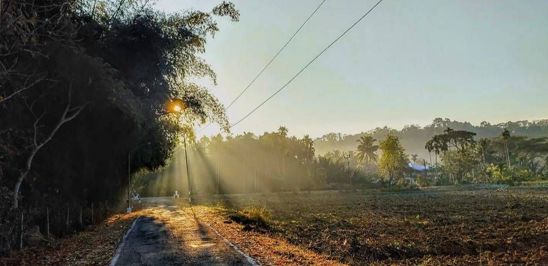 Sunray #Good morning shot #pure RAW - Samsung Members