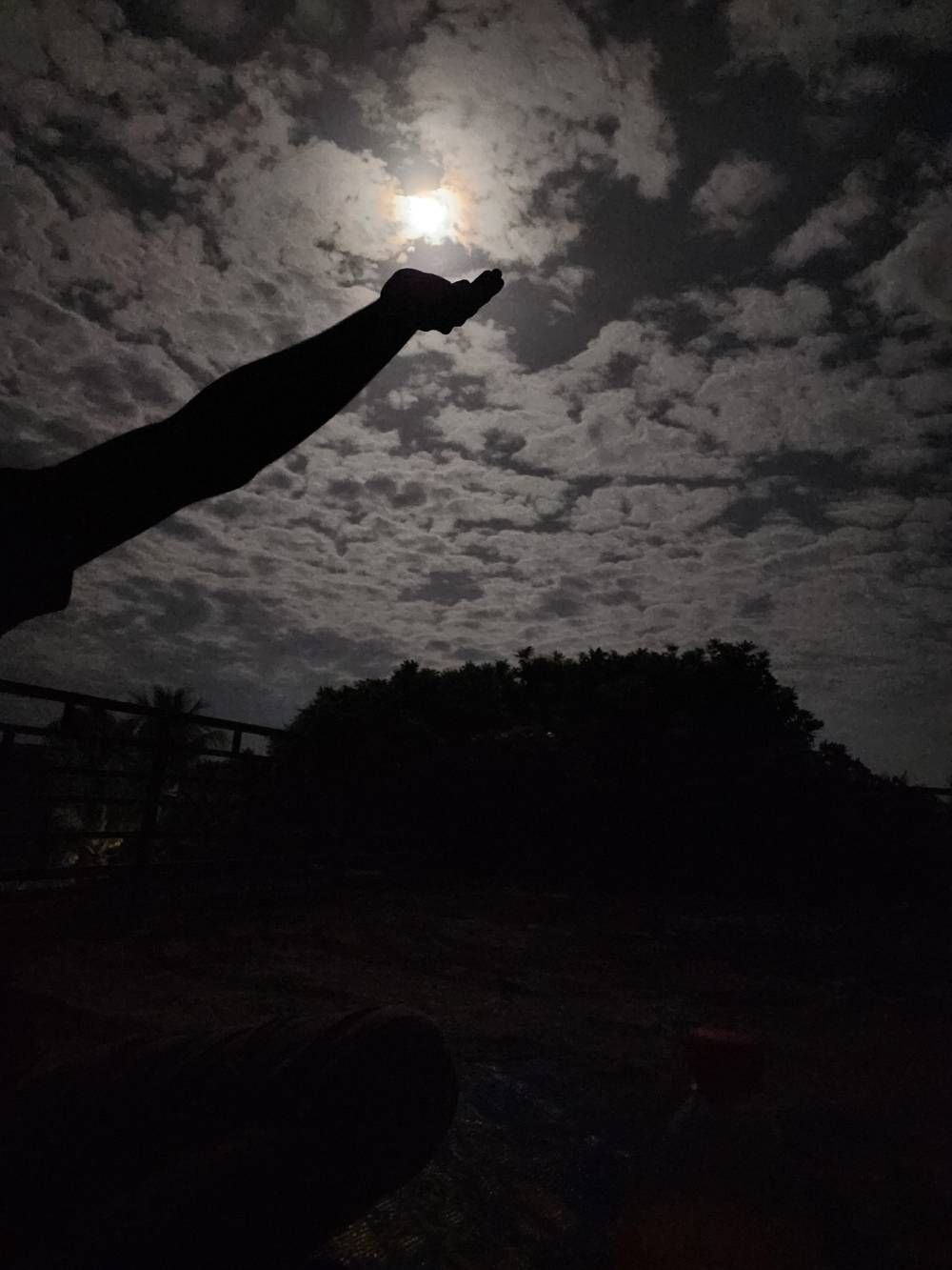 Moon🌙 - Samsung Members