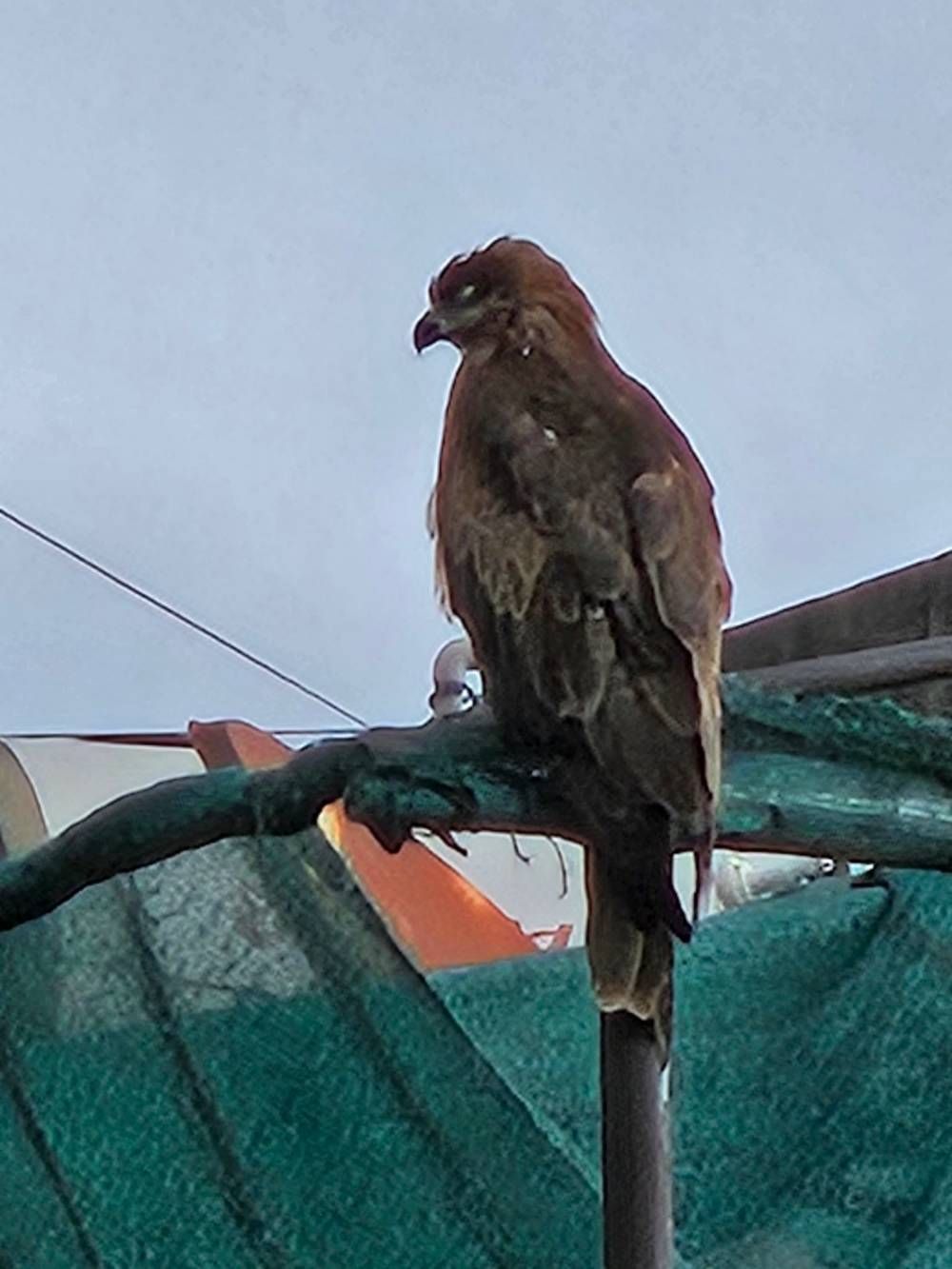 S23's 30X Zoom - Samsung Members