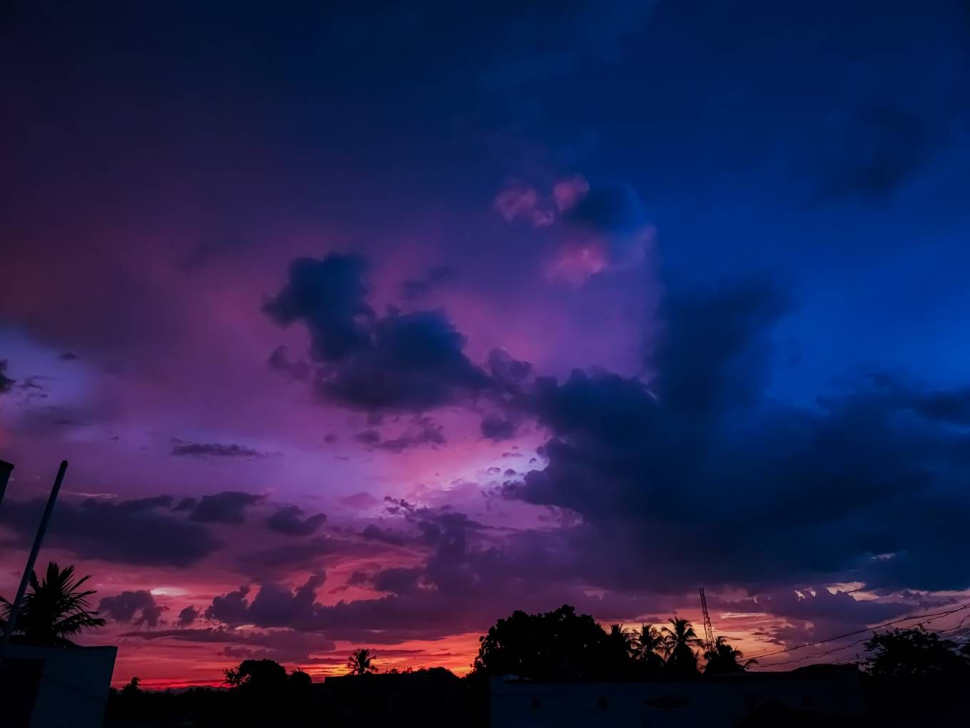 Sunset Samsung Members