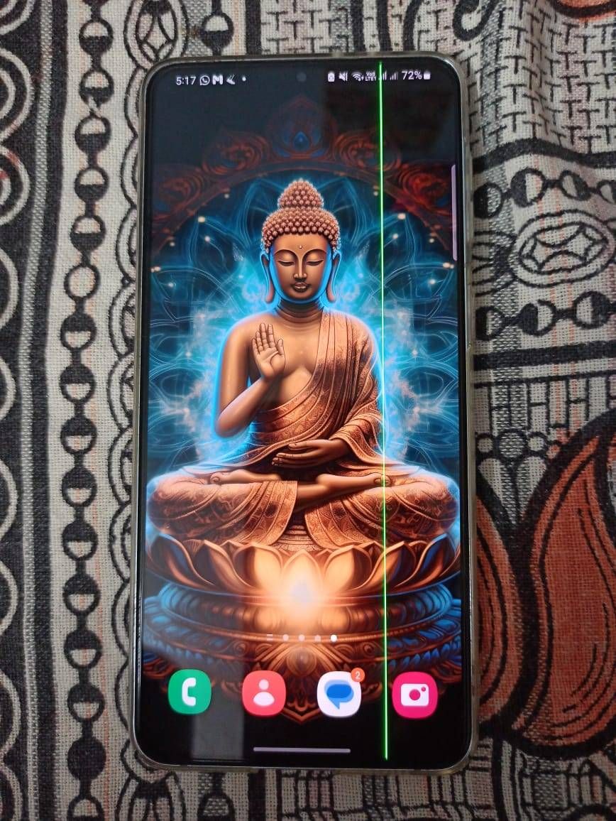 Green line issue #s21+ - Samsung Members