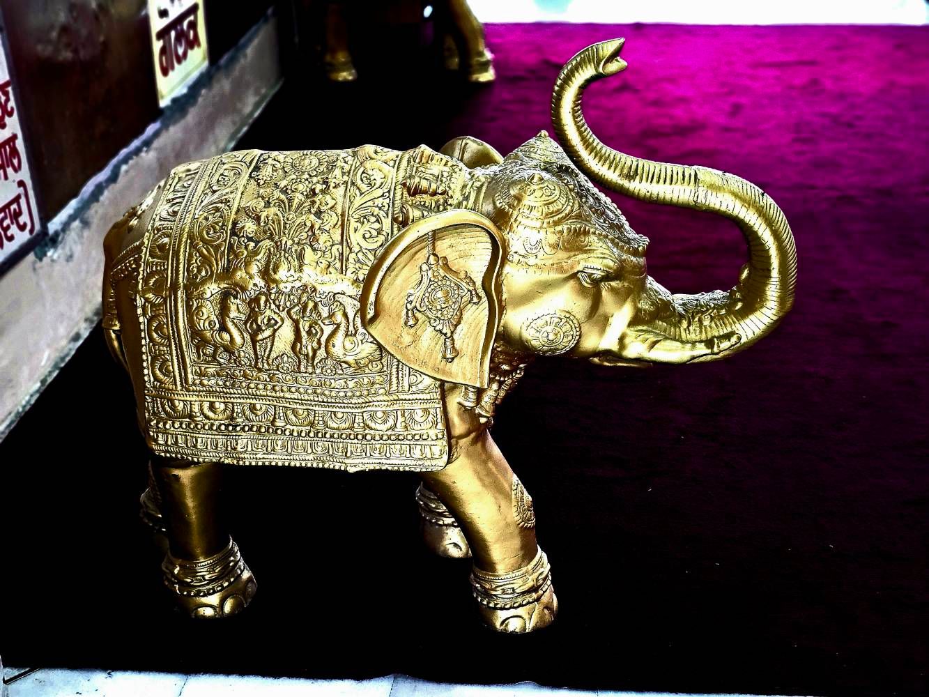 Elephant In Gold - Samsung Members