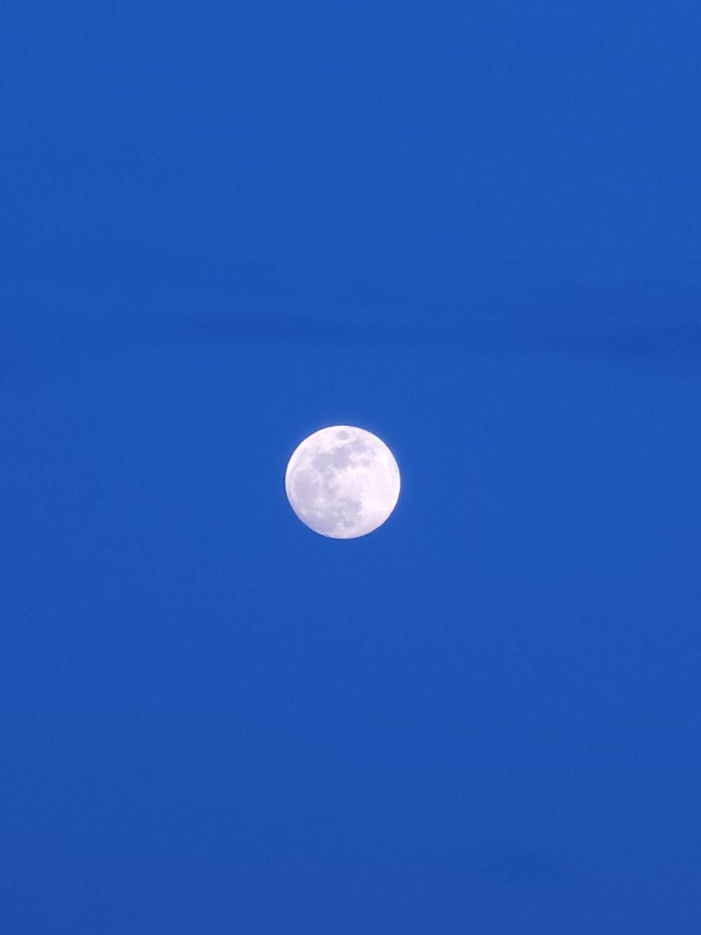 Moon (pro mode)🌙 🌚 - Samsung Members