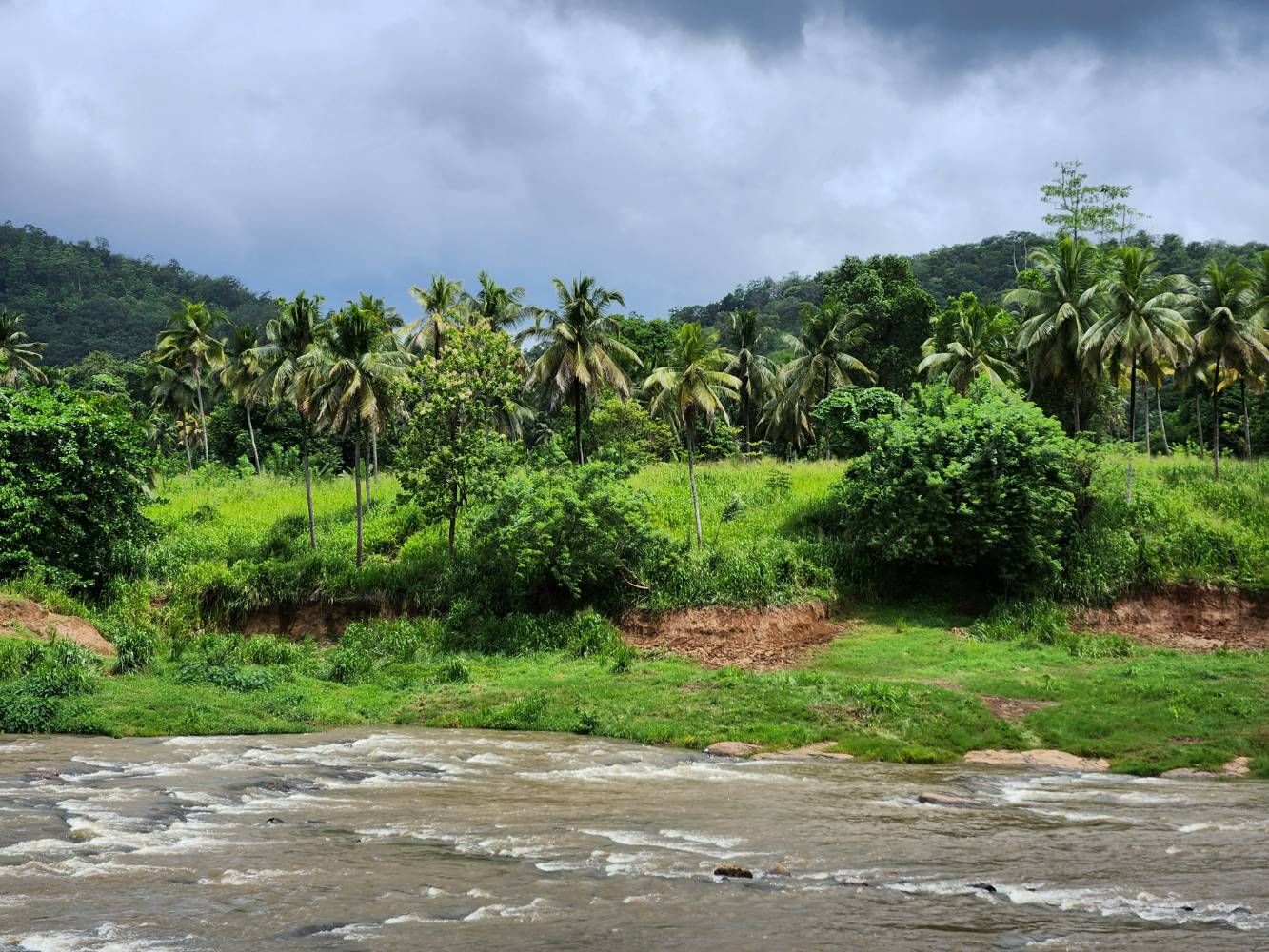 #MembersStar Pinawala Elephant Orphanage - Samsung Members