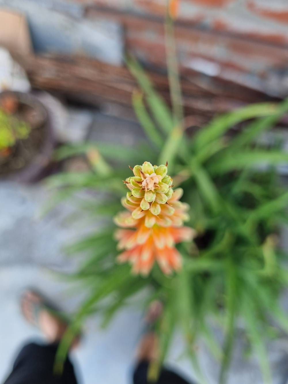 How was the click??? - Samsung Members