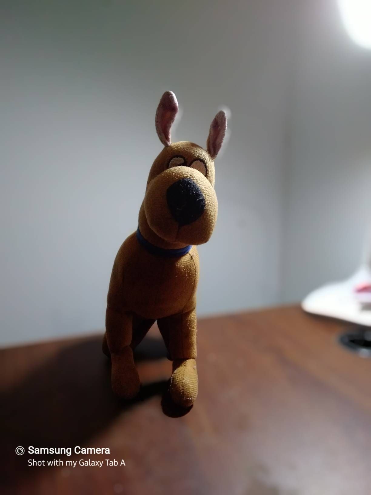 Scooby dubi doo - Samsung Members