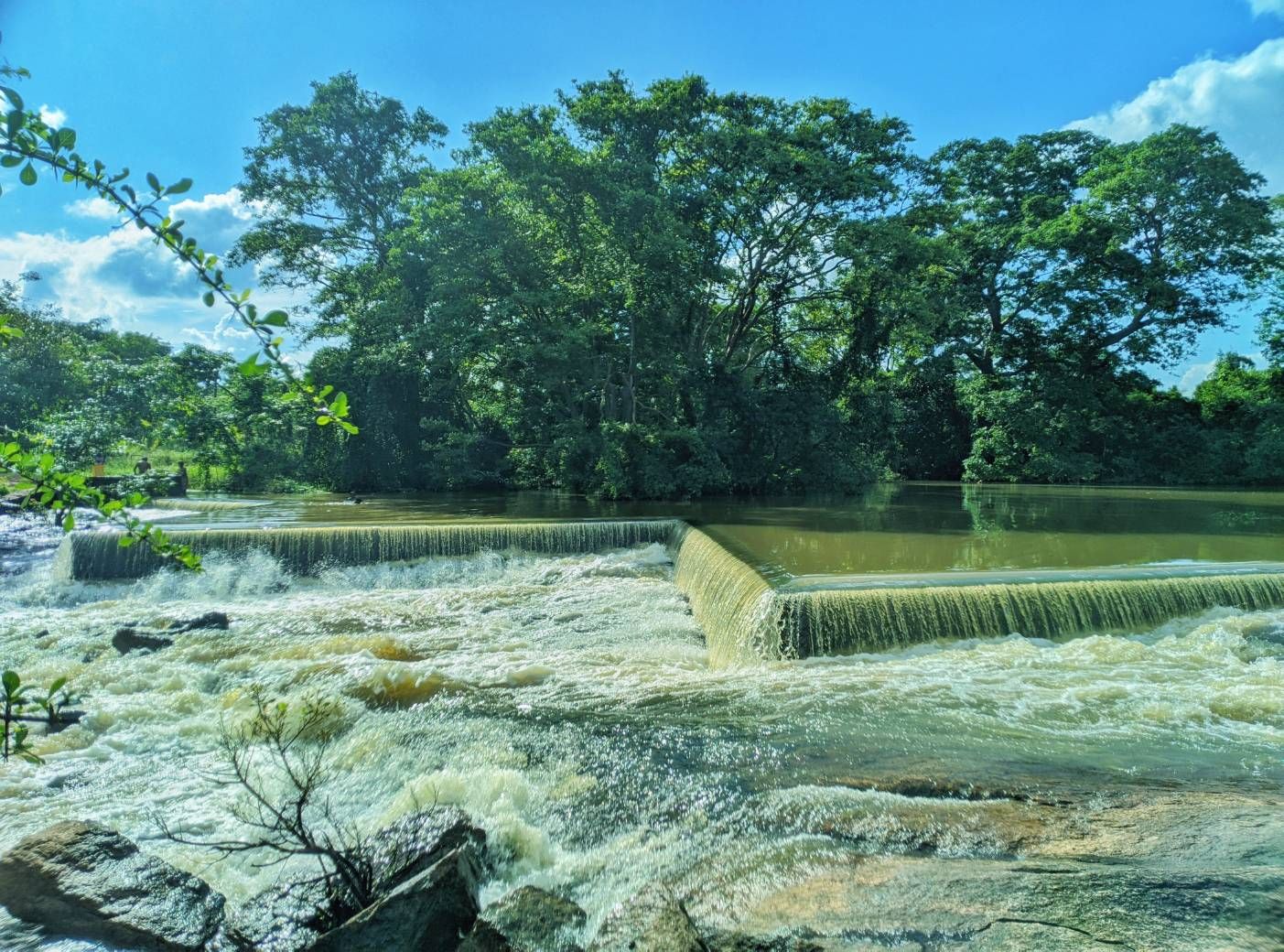 Captured using Galaxy A20s📷 - Samsung Members