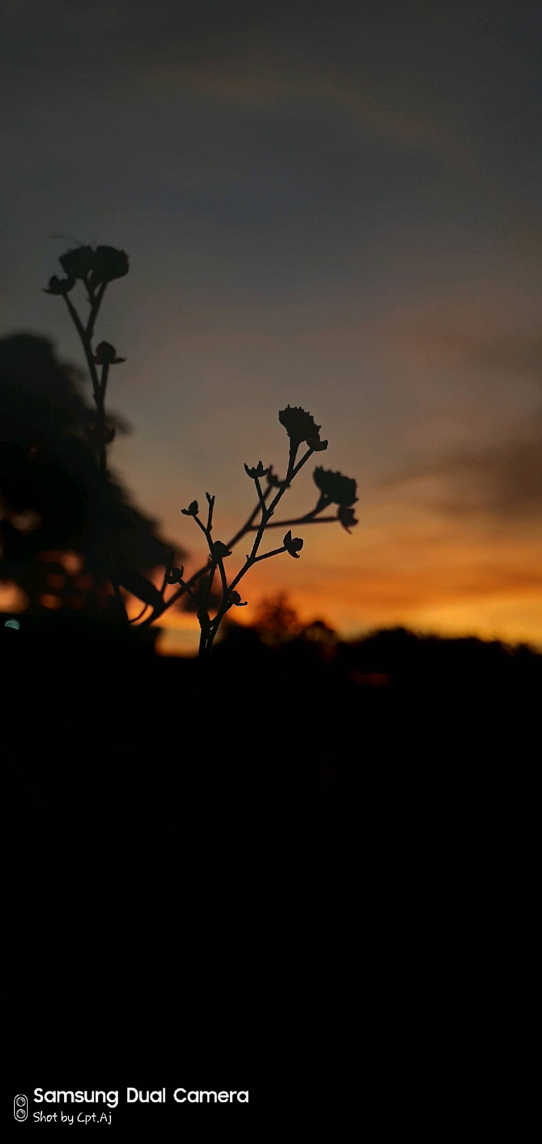 super camera Sam M10.... - Samsung Members