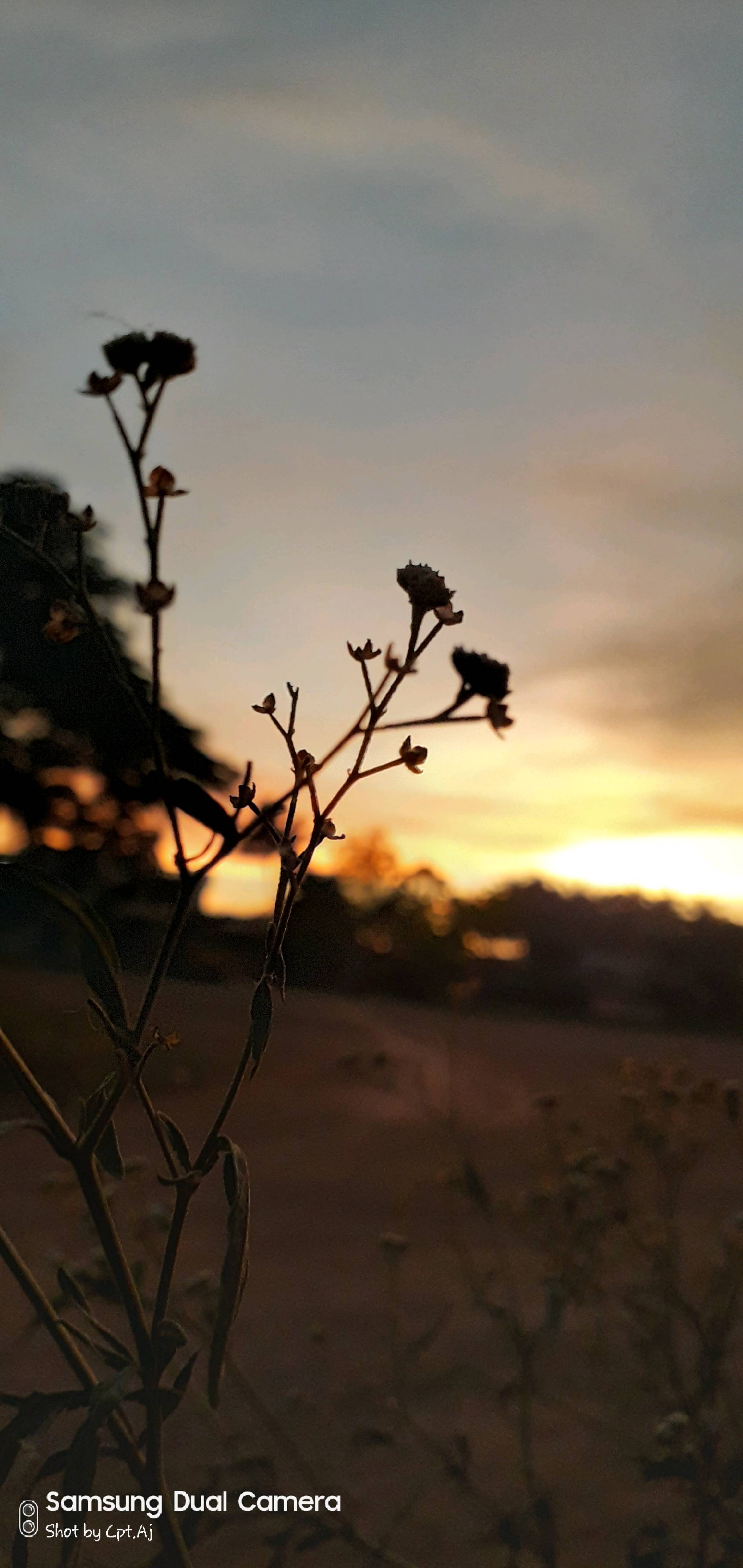 super camera Sam M10.... - Samsung Members