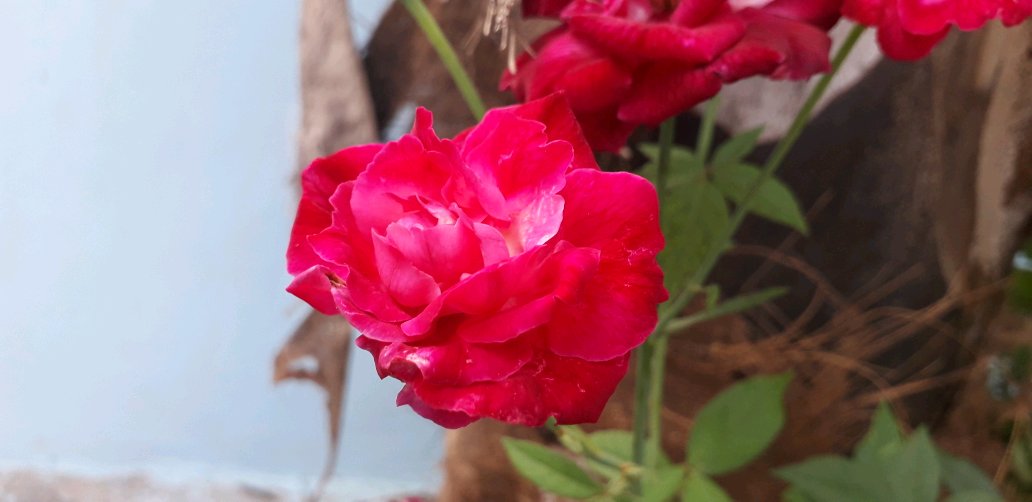 on galaxy j6. - Samsung Members