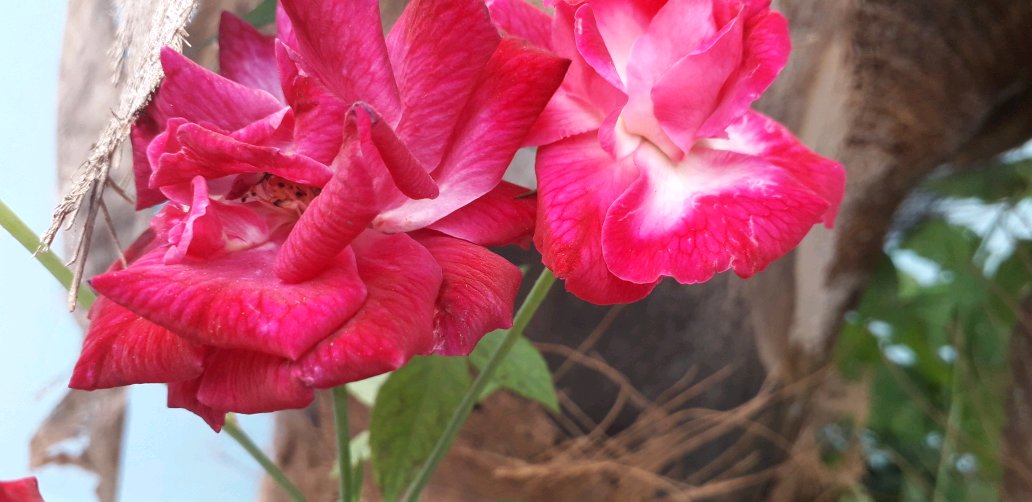 on galaxy j6. - Samsung Members