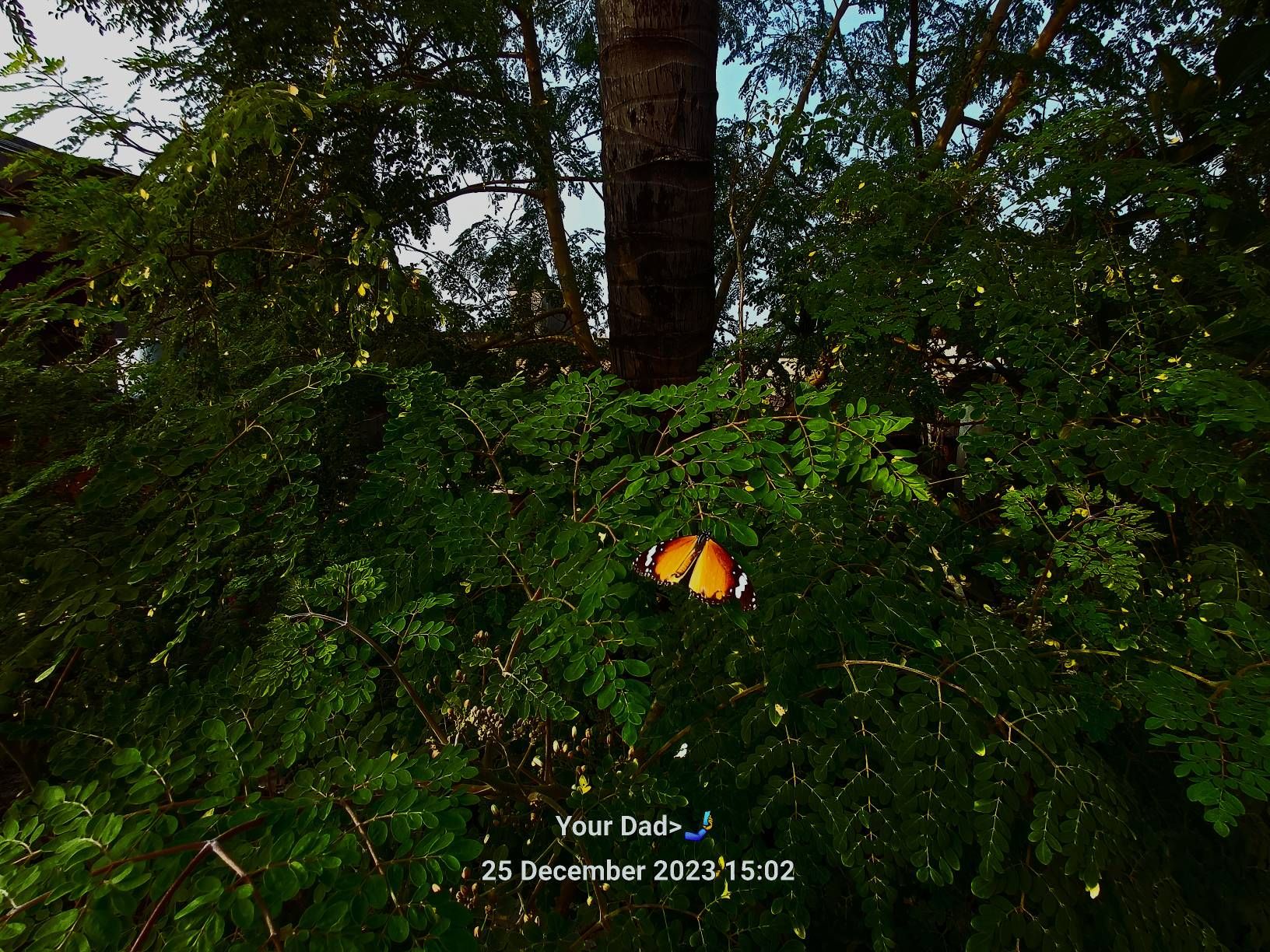 Find your tribe, love them hard. # ... - Samsung Members