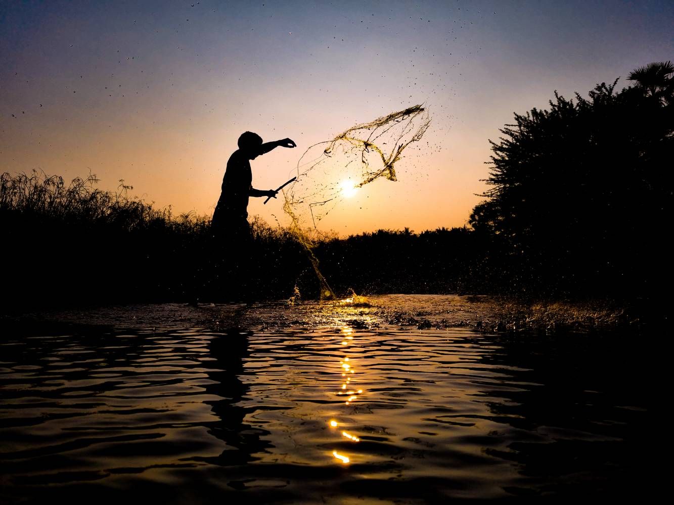 Fishing - Samsung Members