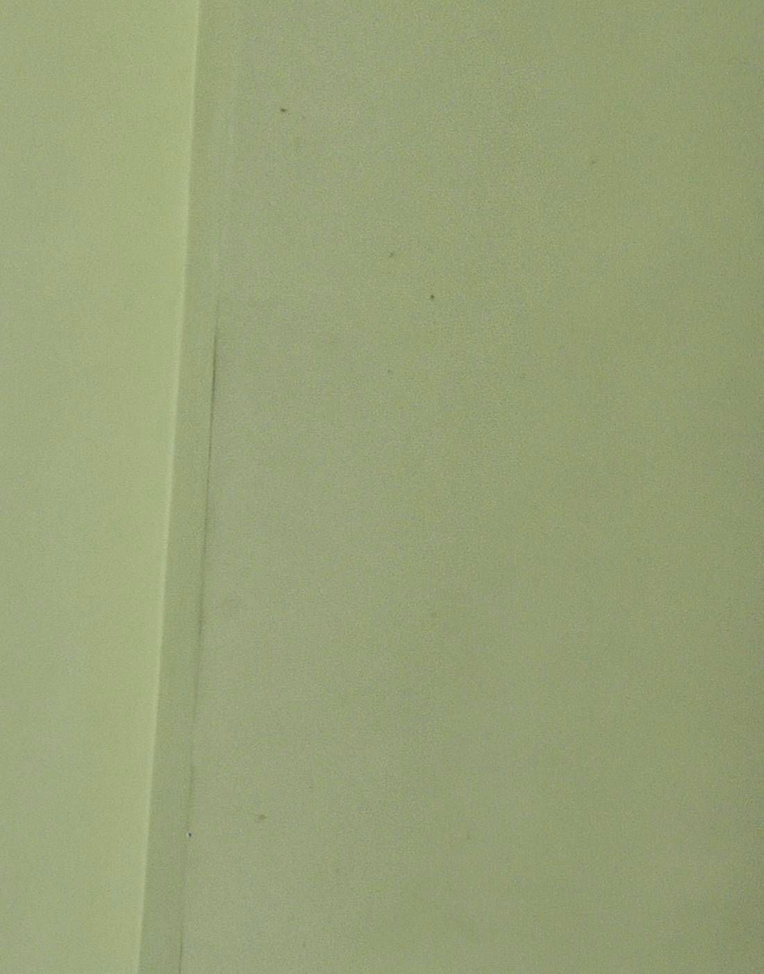 S24 Ultra Camera Image Noise Increased Multifold - Samsung Members