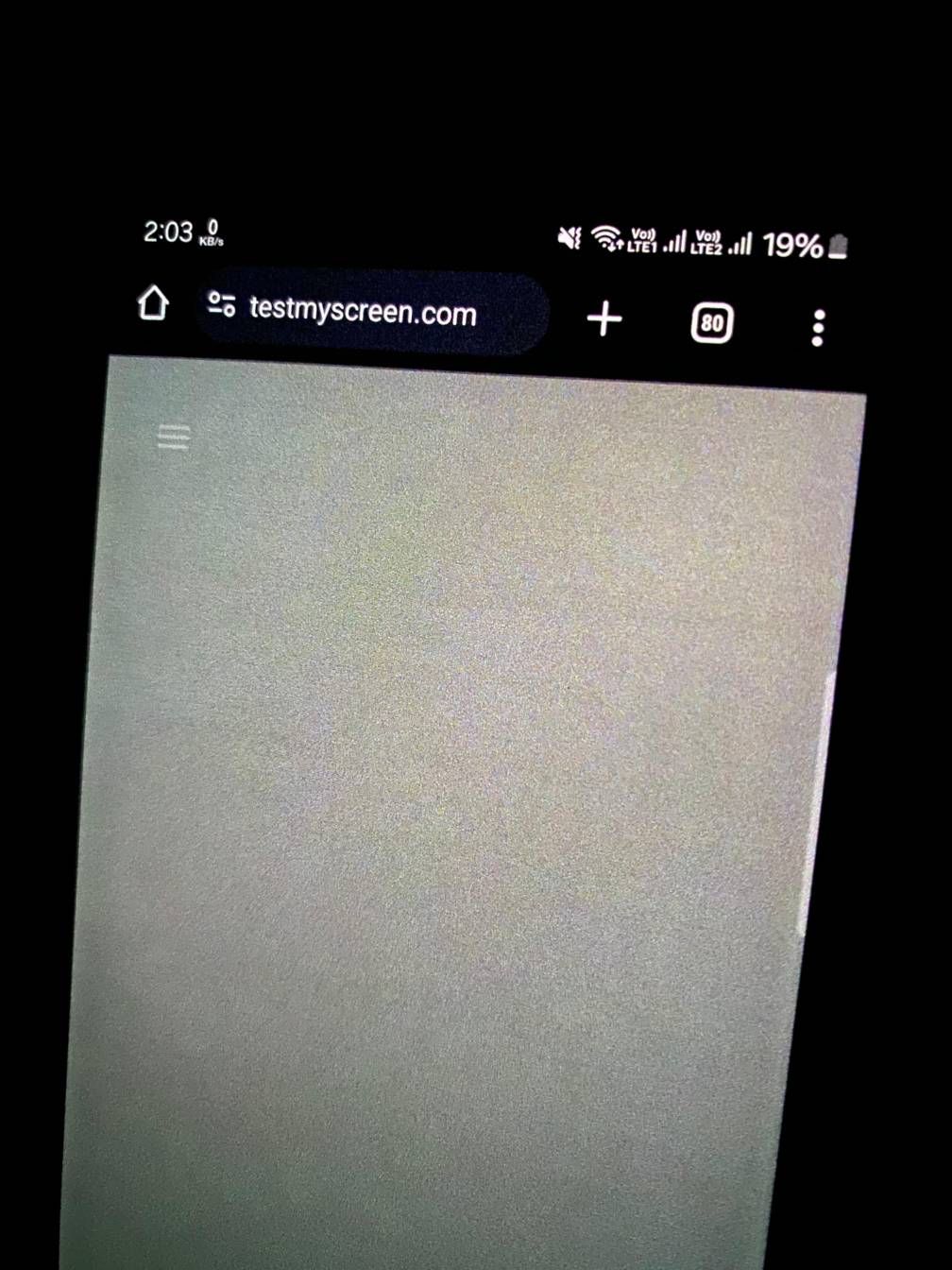 S24 Ultra Grainy Display - Samsung Members