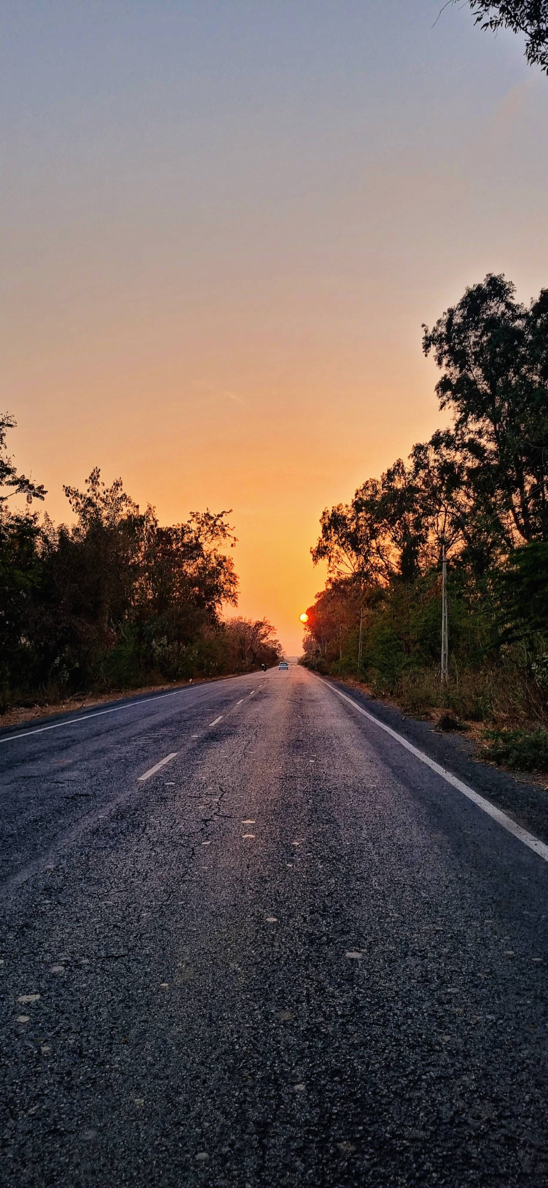 Sunset Samsung Members