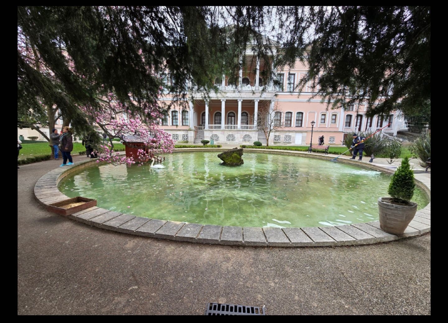 S24 ulta AI foto. Düzenleme - Samsung Members