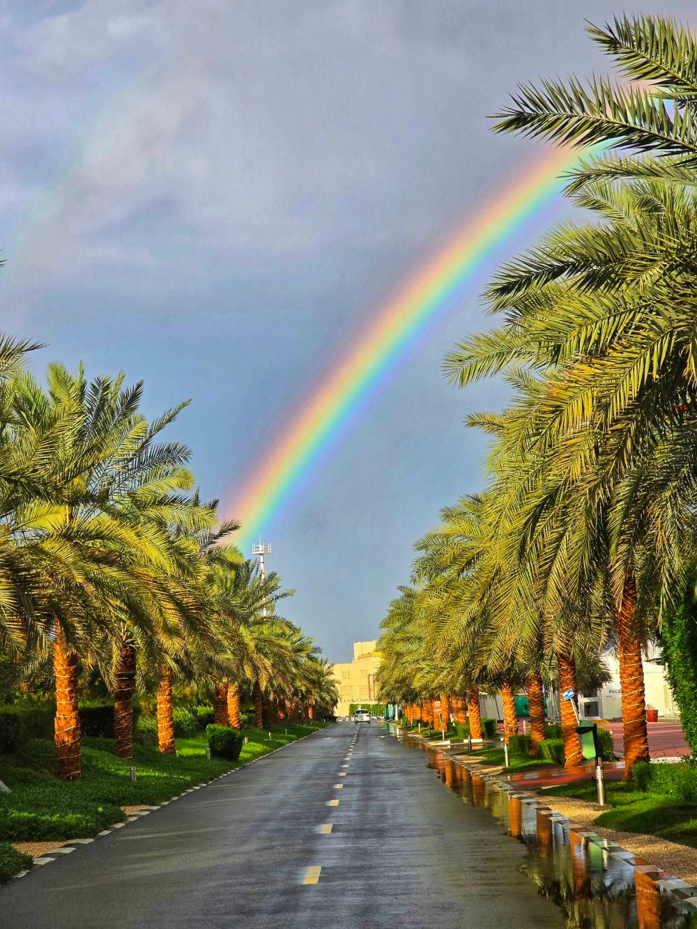 Rainbow shot from S24 Ultra - Samsung Members