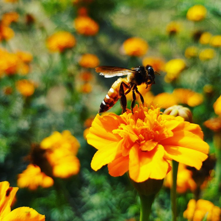 take off (shot by s8) - Samsung Members