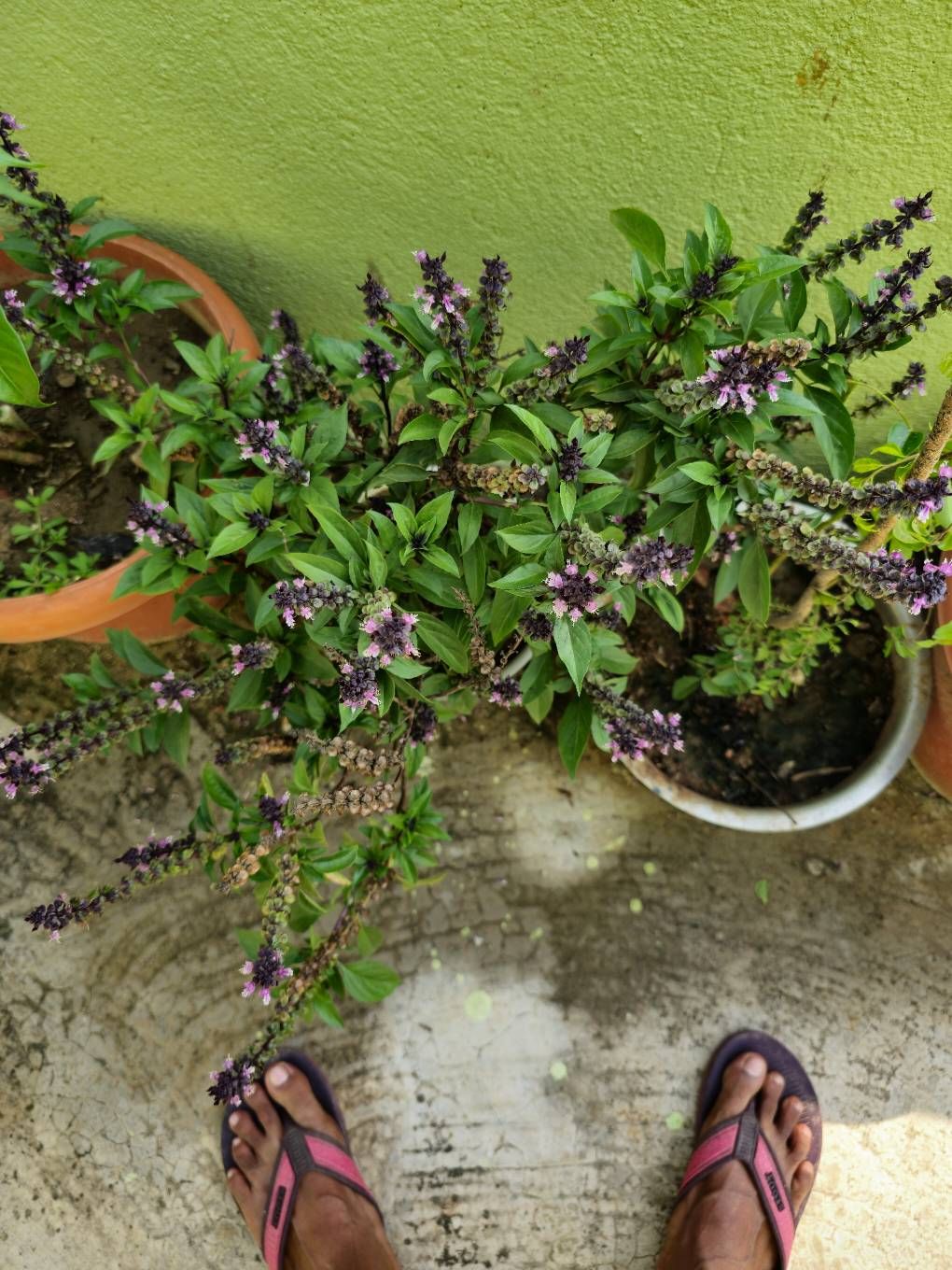 Worst camera phone s24 ultra fraud samsung - Samsung Members