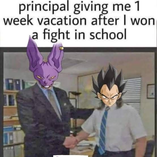 Daily memes - Samsung Members