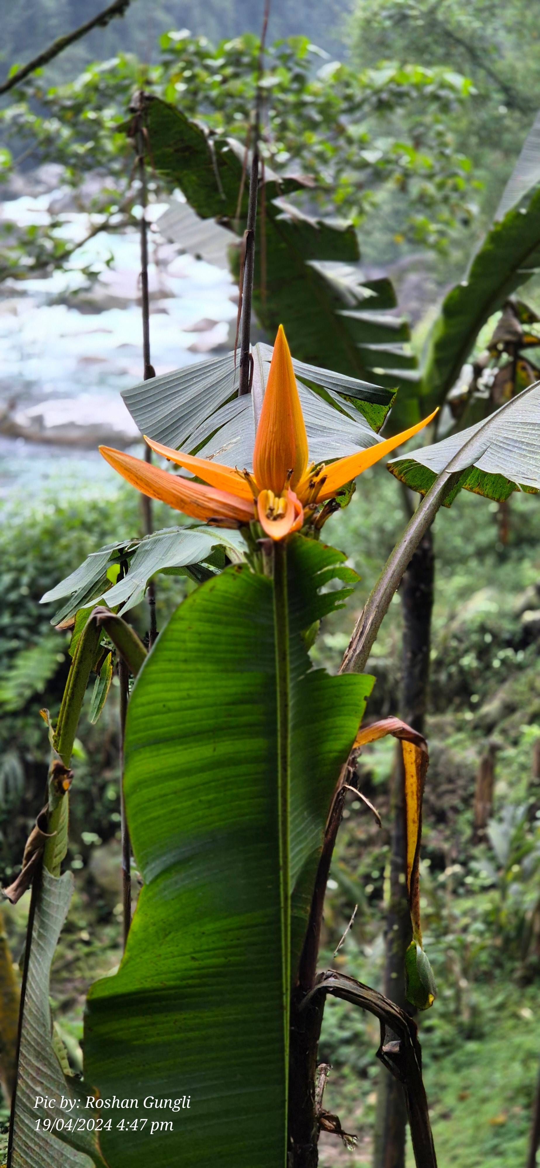 Quick Tips: Reposition your lock screen clock - Page 7 - Samsung Members