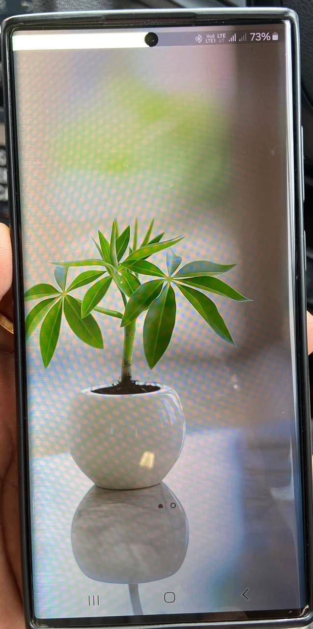 Samsung S22 Ultra Display Issue After Software Upd... - Samsung Members