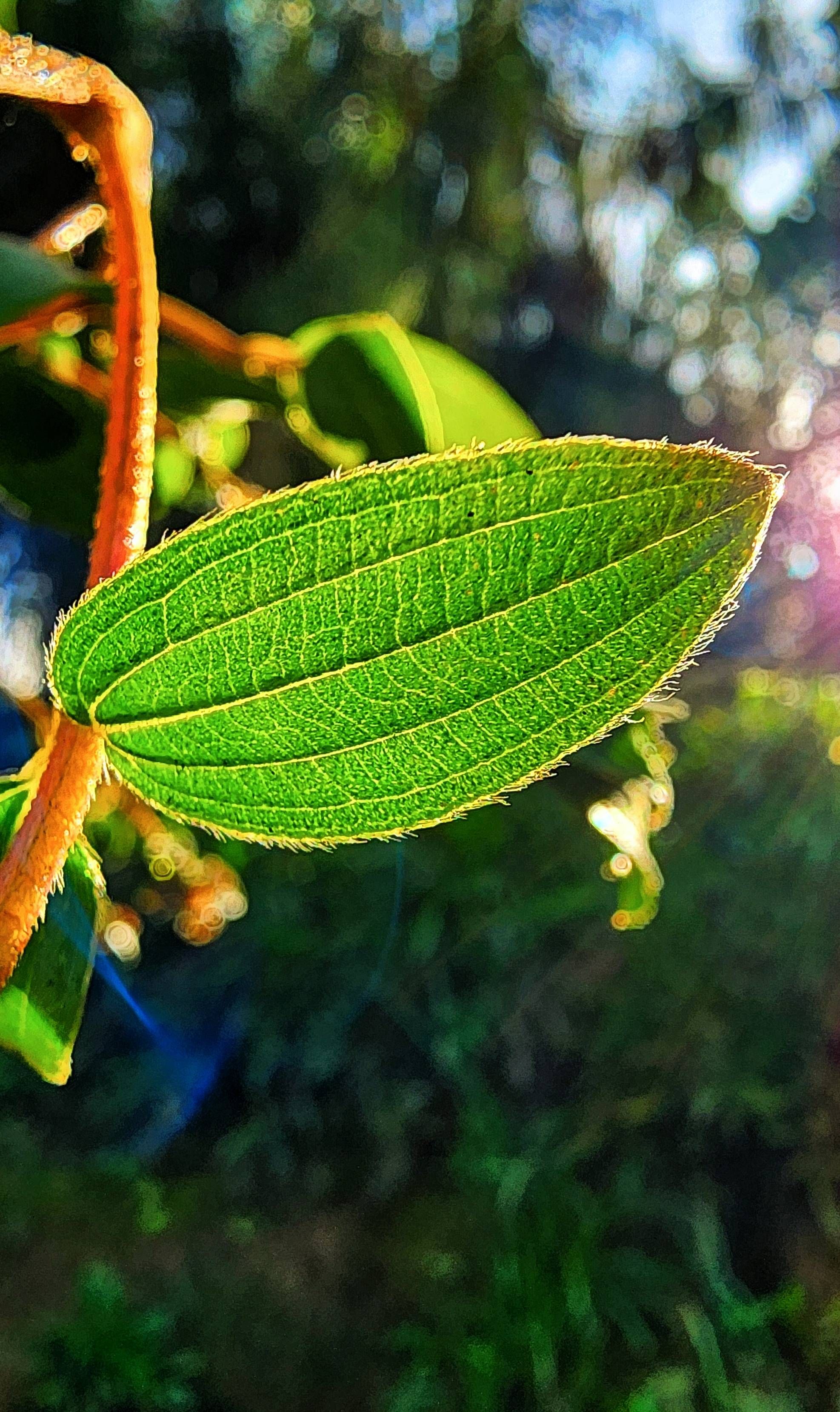 S22 Ultra click - Samsung Members