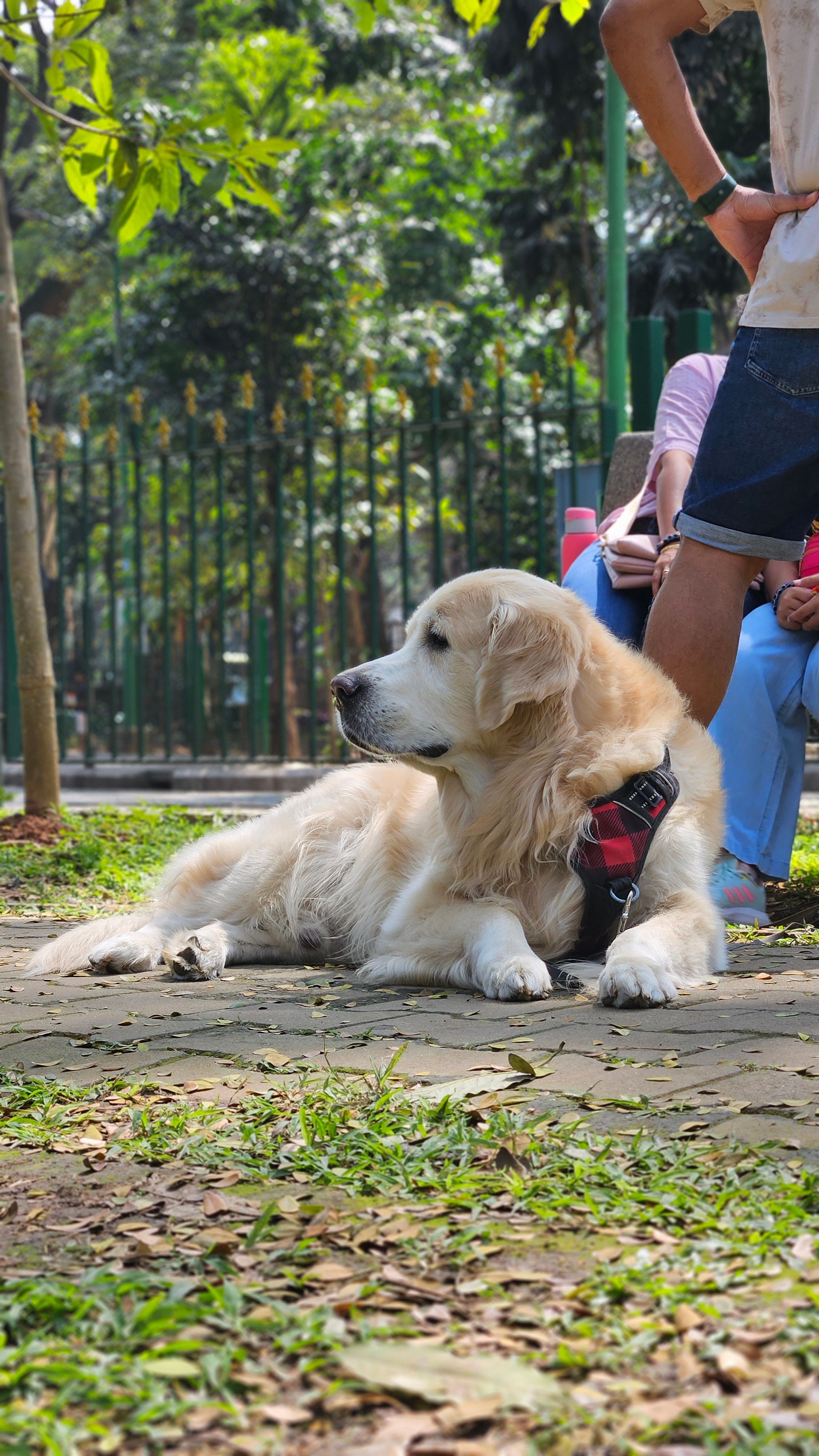 Cooper 🐶 - Samsung Members