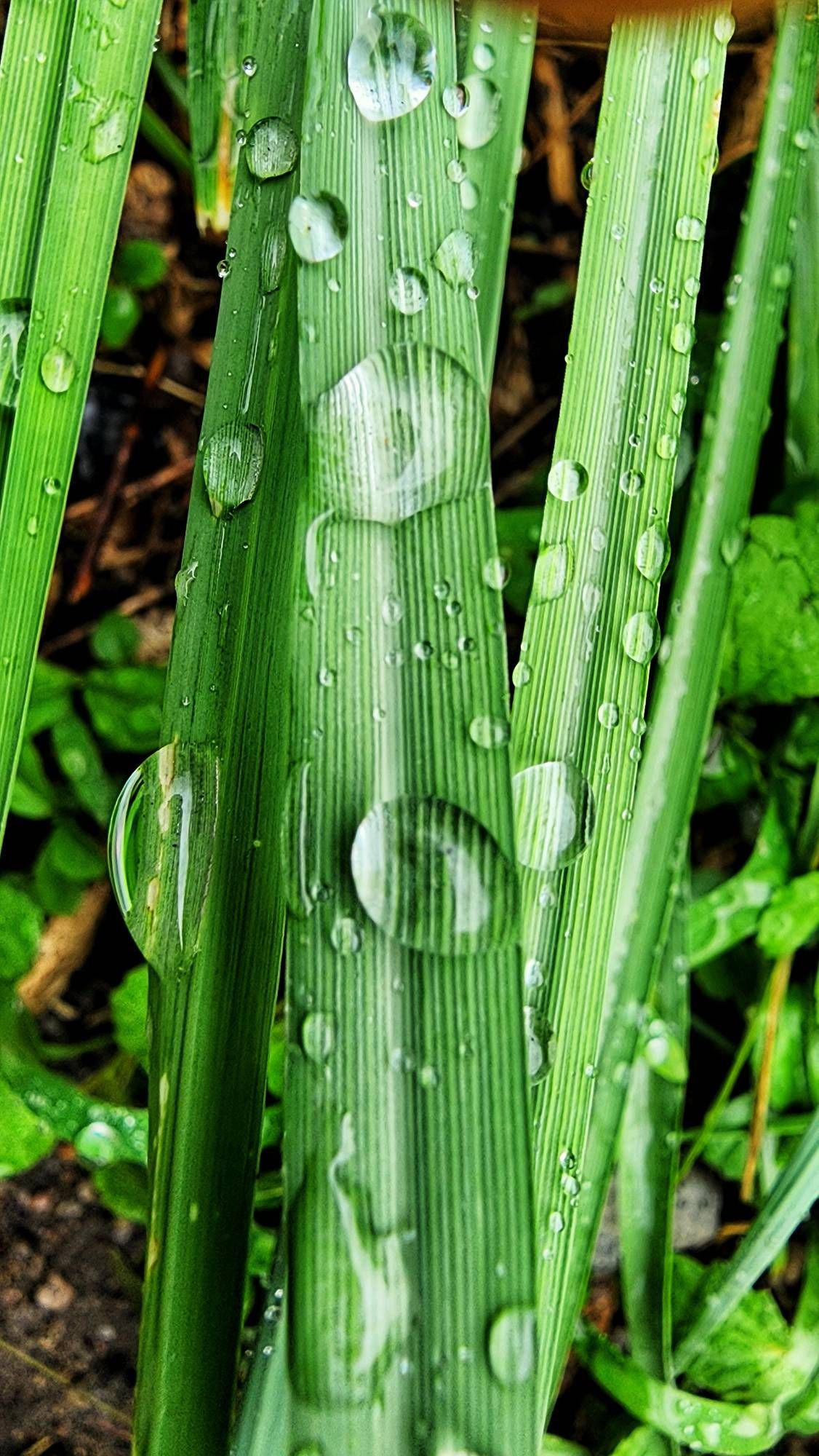 S22 Ultra click - Samsung Members