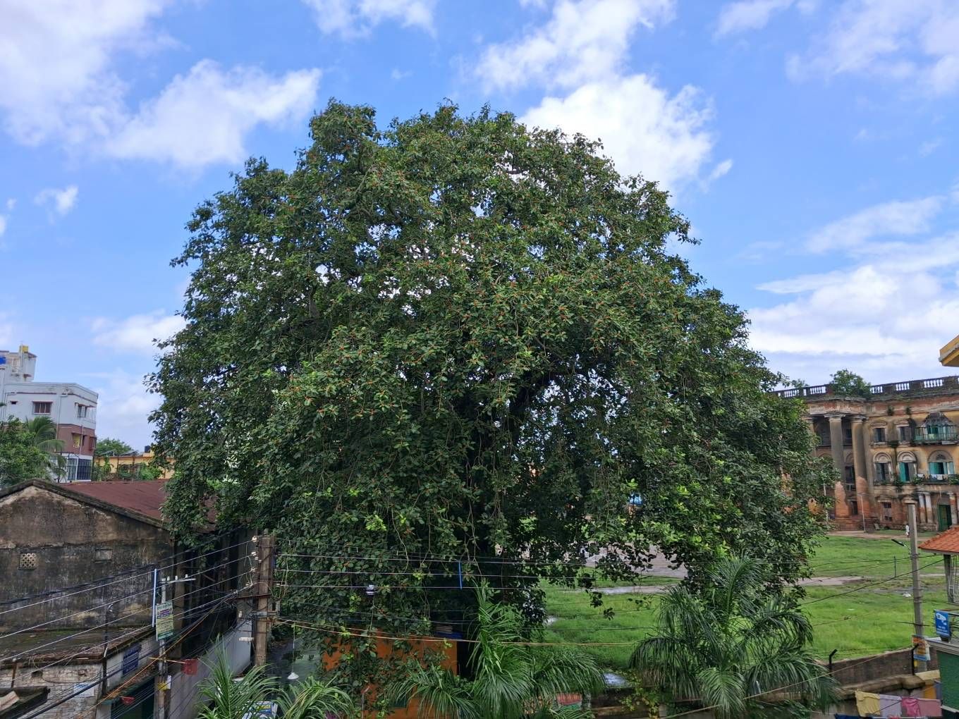 Camera samples from the brand new Galaxy M35 5G - Samsung Members