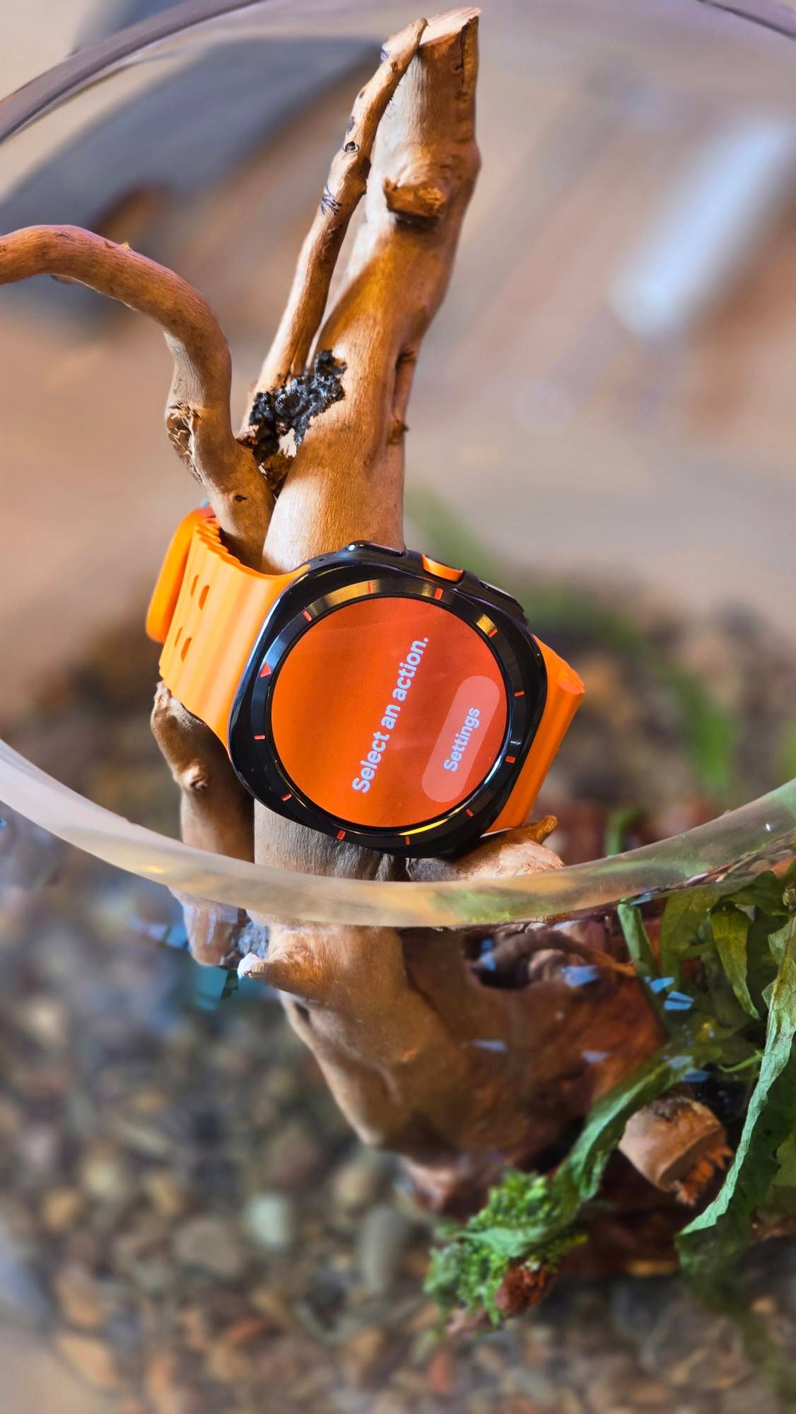 SMC - Samsung creator's event - Samsung Members