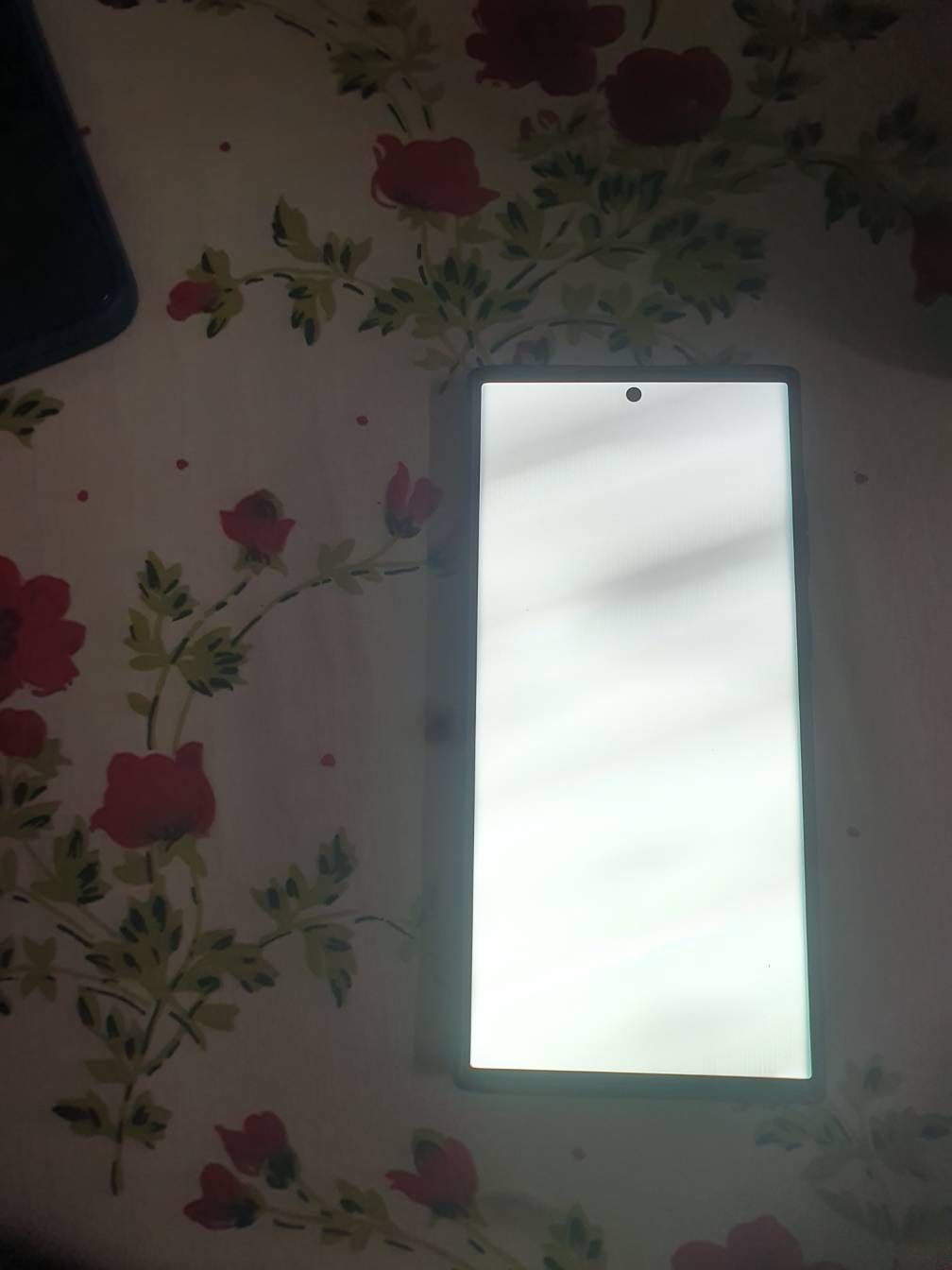 S22 Ultra White Screen Display Issue - pathetic cu... - Samsung Members