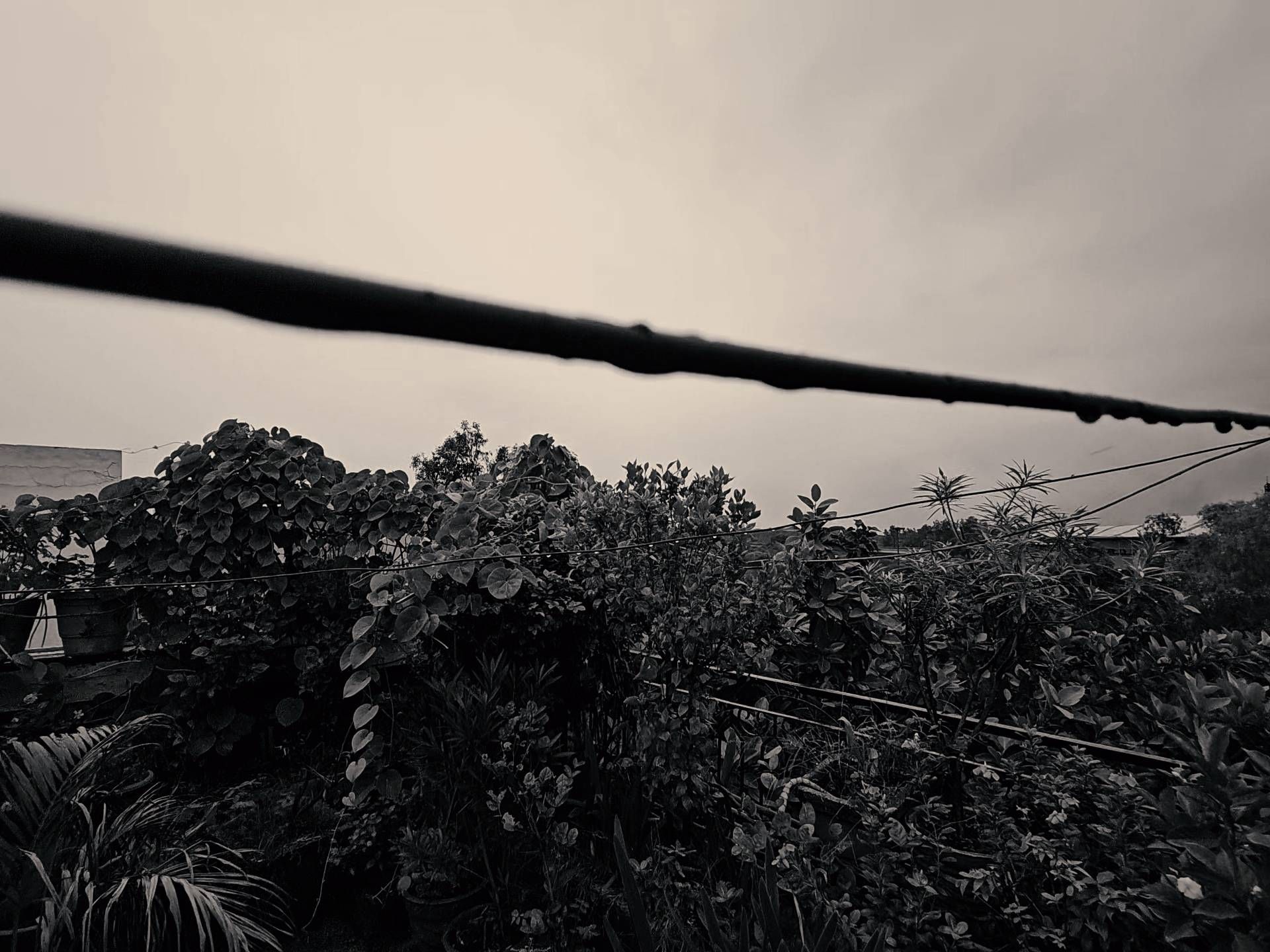 First click - Samsung Members