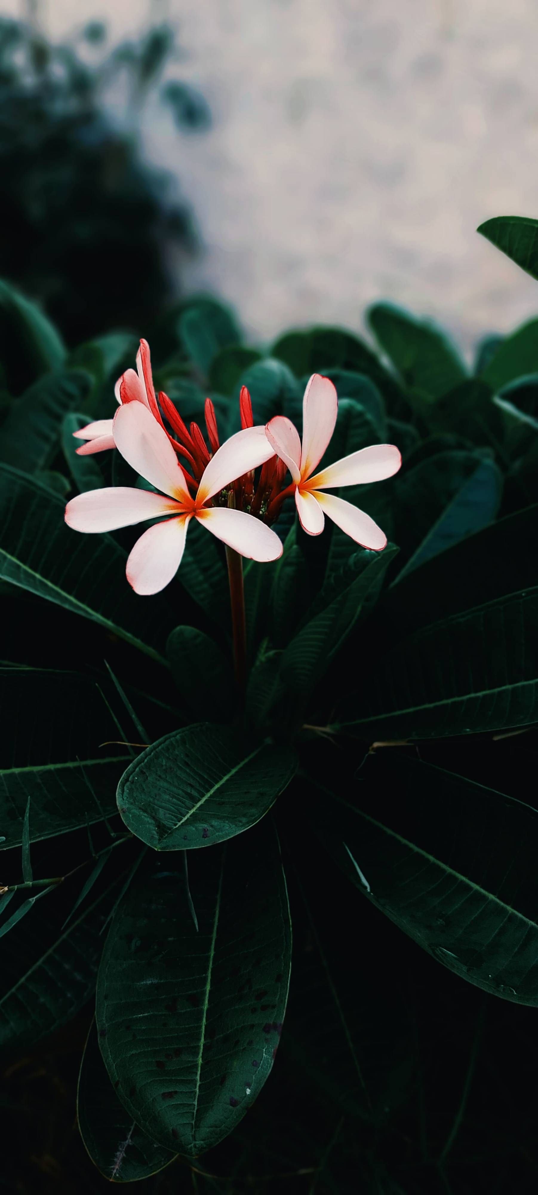 Innovation Lab on MDE: "Quick Share" your ideas wi... - Page 4 ...