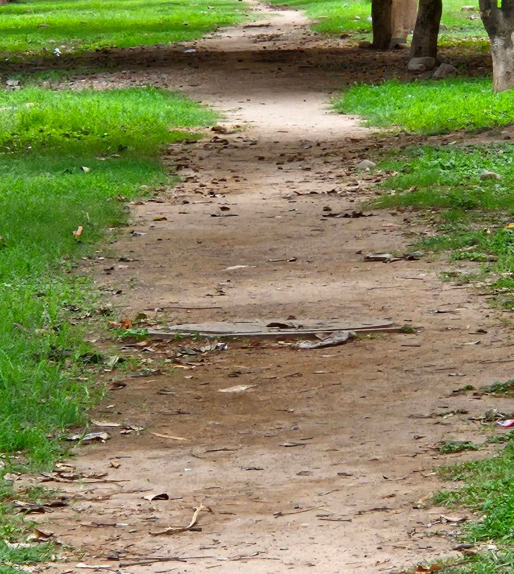 New S23 poor camera quality - Samsung Members